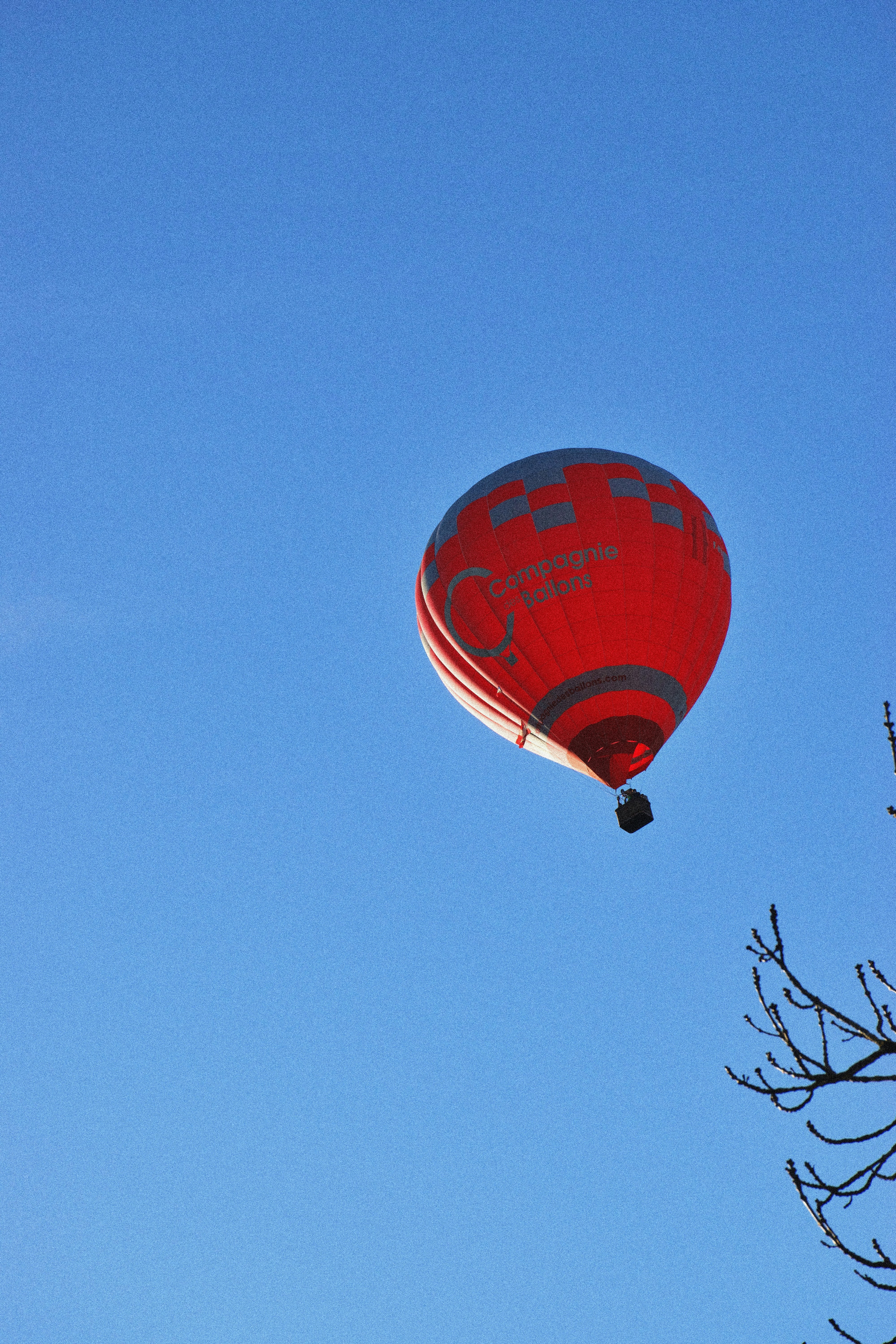 Crimson Balloon over a Clear Azure: A Lone Soaring Envelope