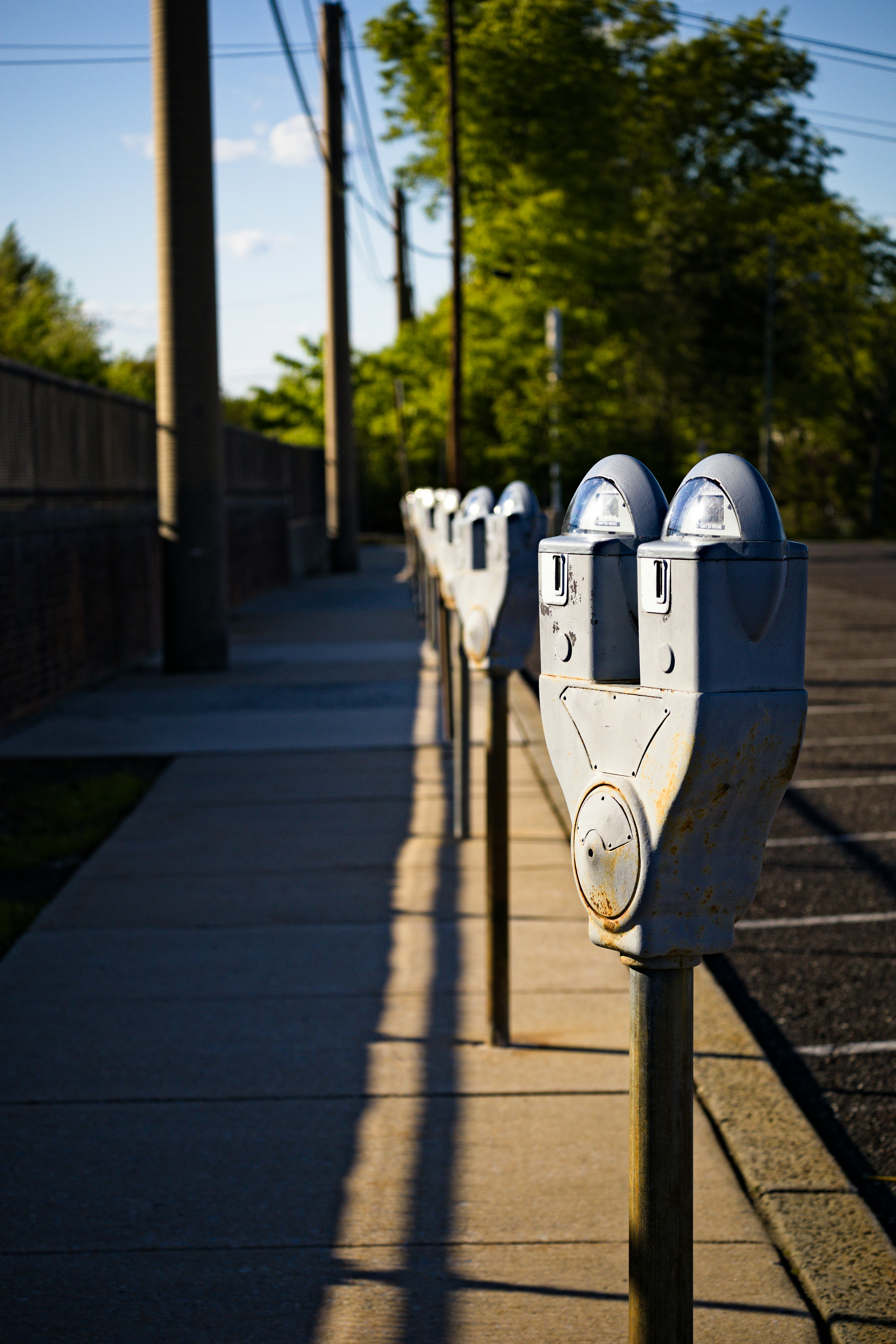Row of coin-operated parking meters in late afternoon light
