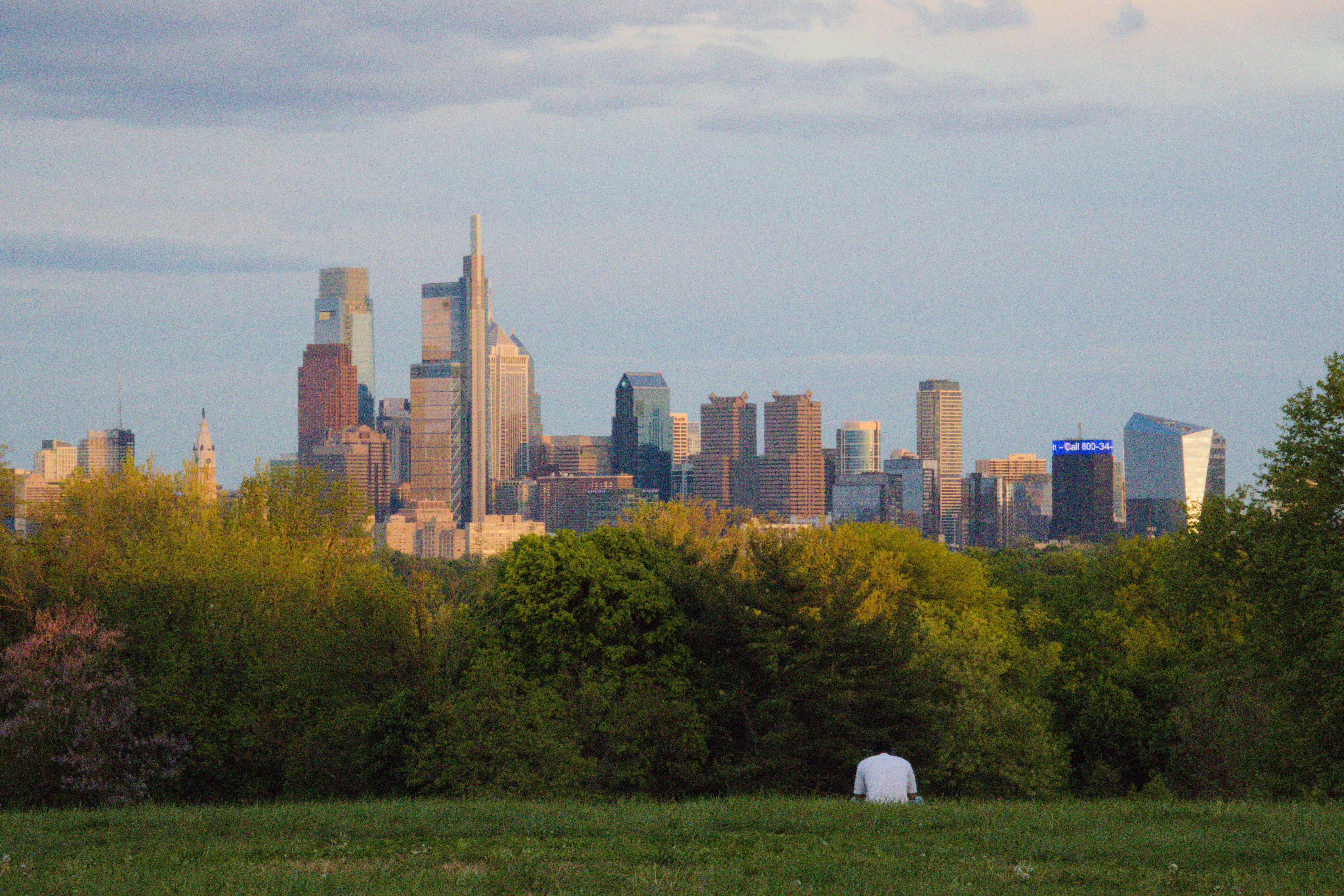 City Skyline Emerges Above a Green Clearing