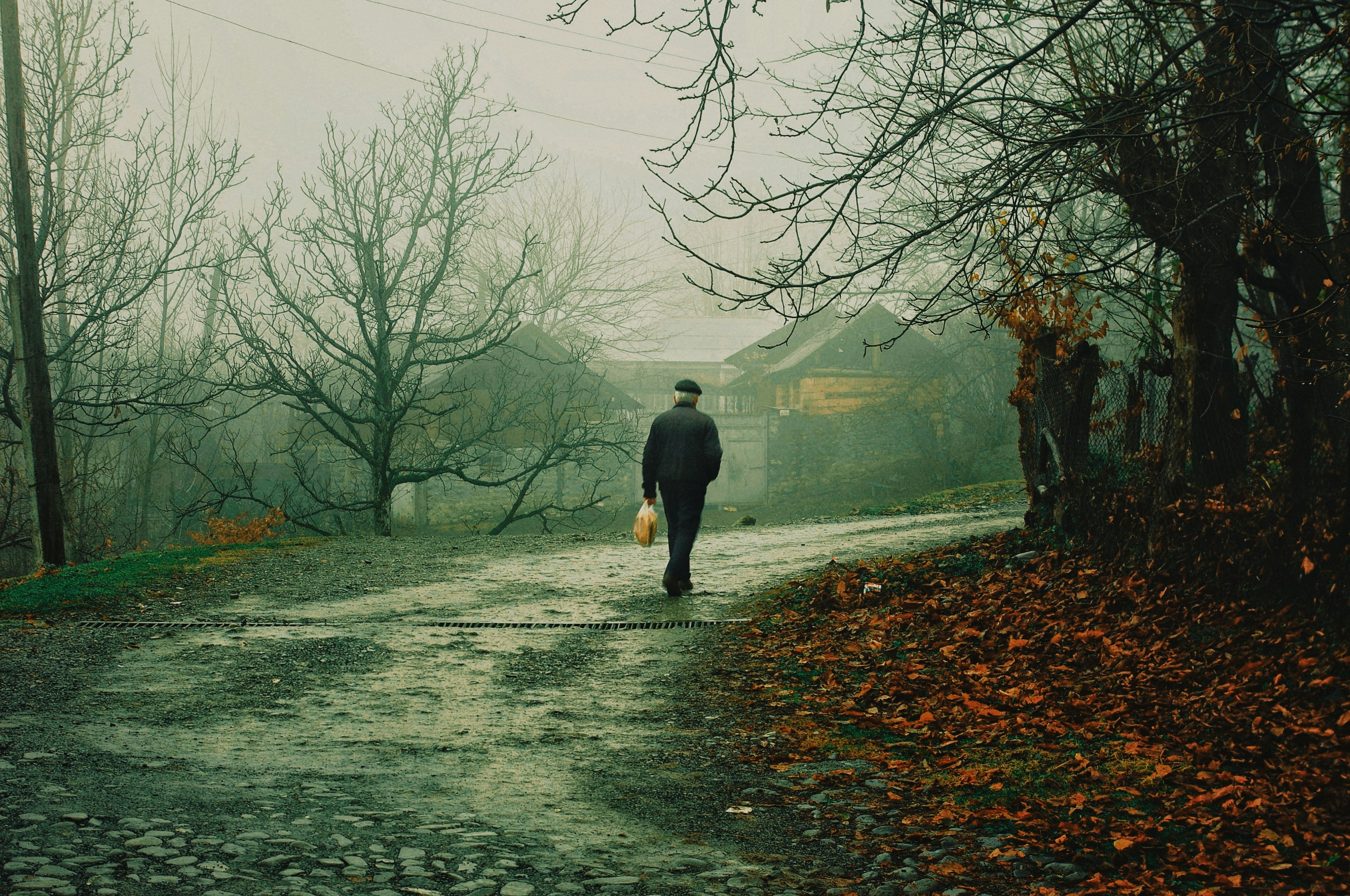 Solemn Walk Through Misty Autumn Path