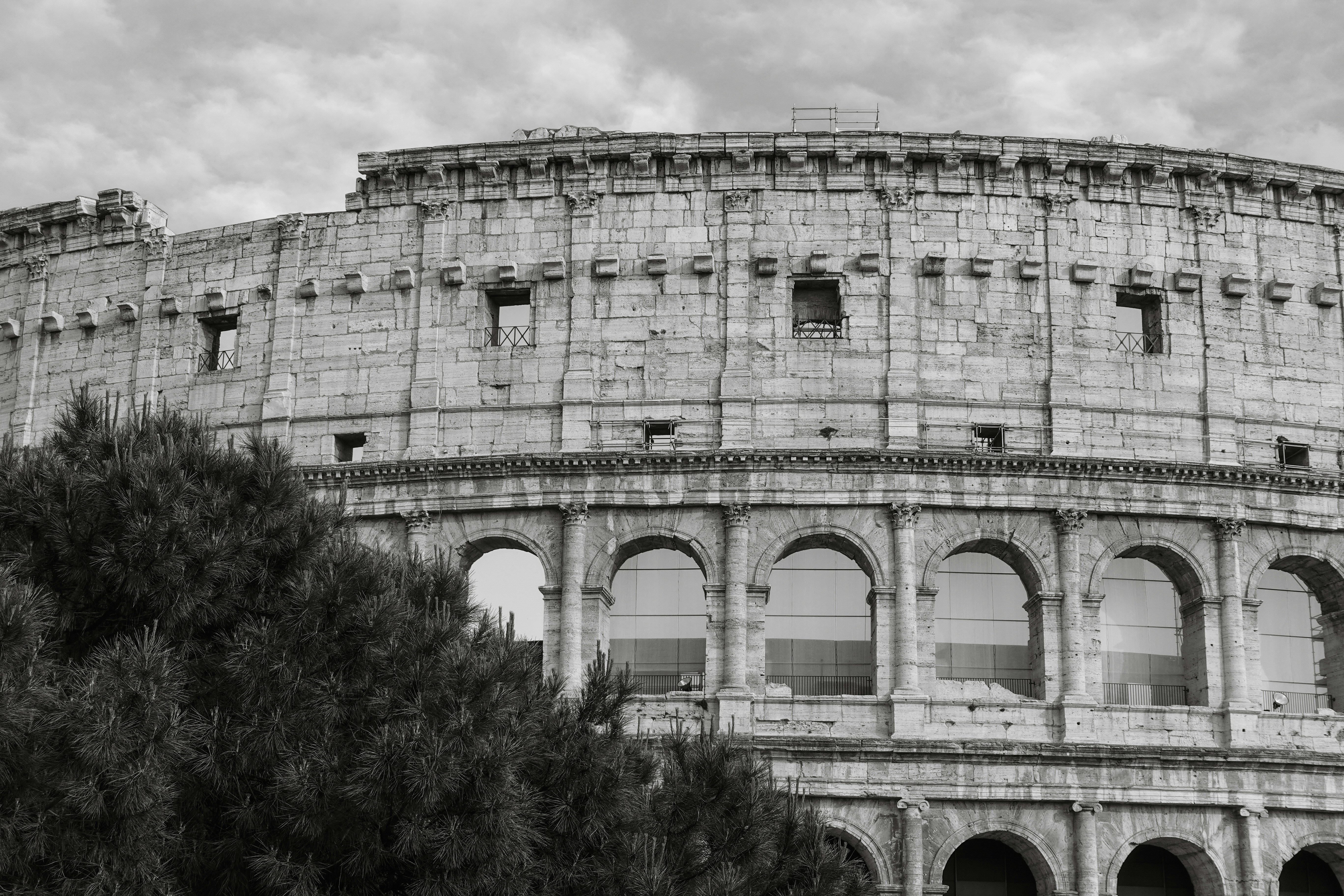 Ancient Stones and Overhanging Foliage: A Roman Arena in Monochrome