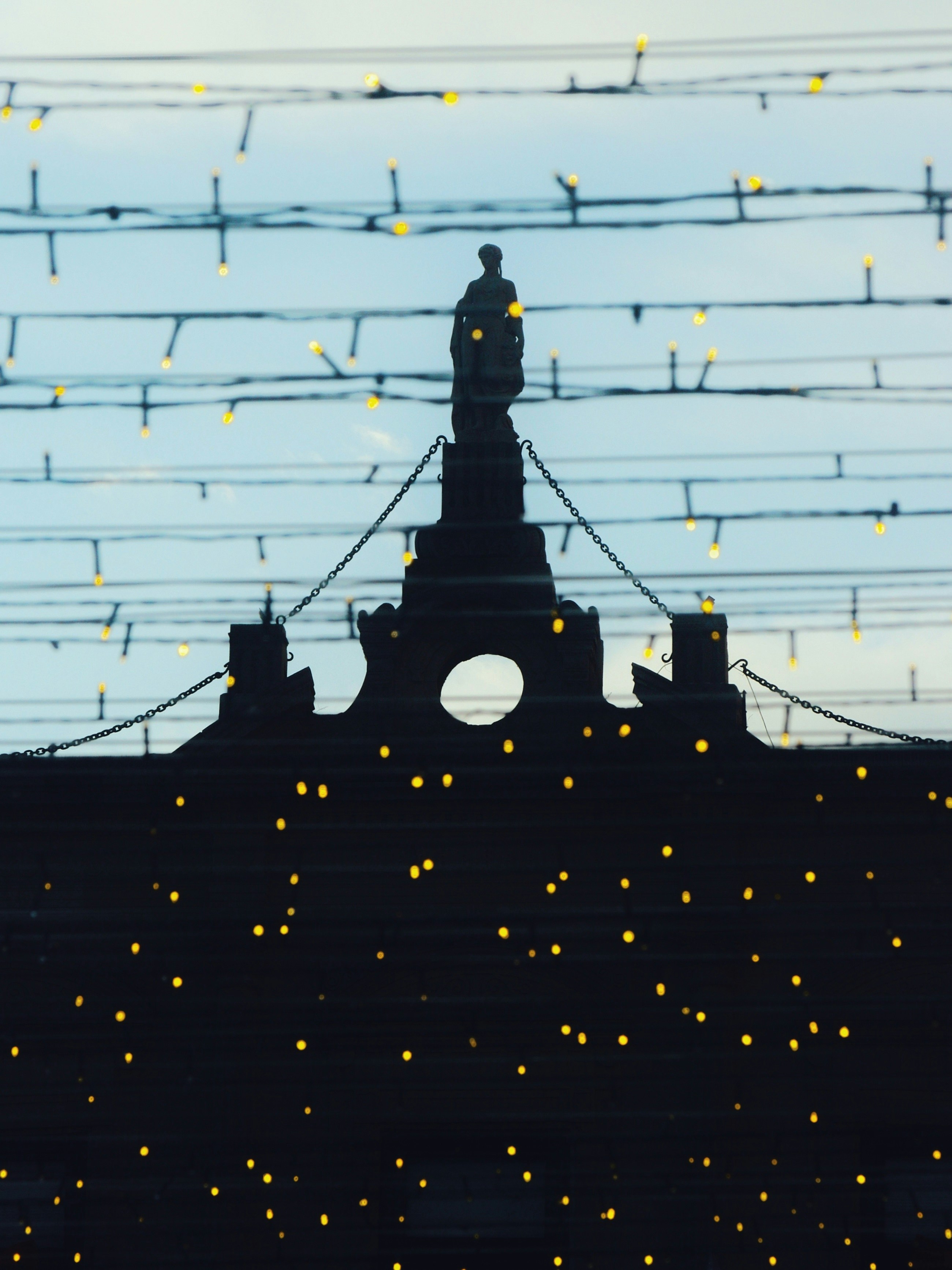 Midnight Sentinel Amidst a Sea of Lights
