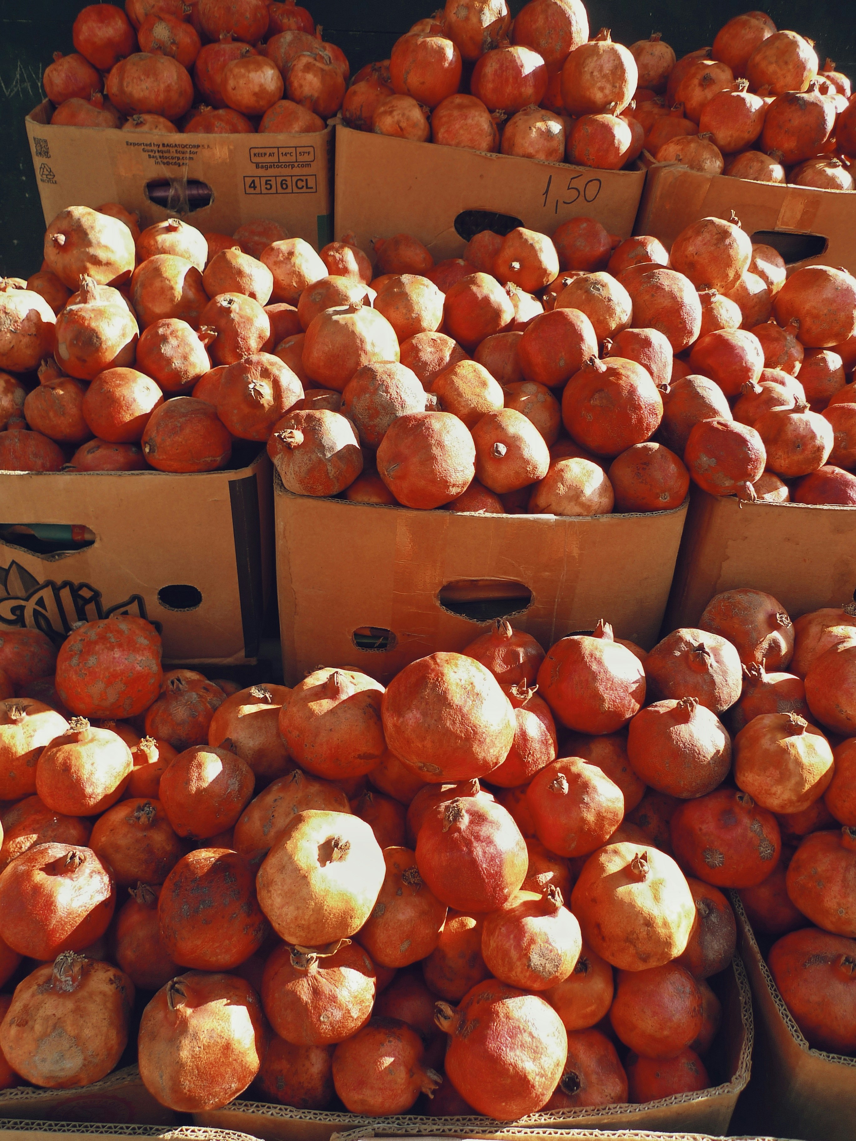 Sunlit Piles of Mandarin Oranges in Cardboard Crates