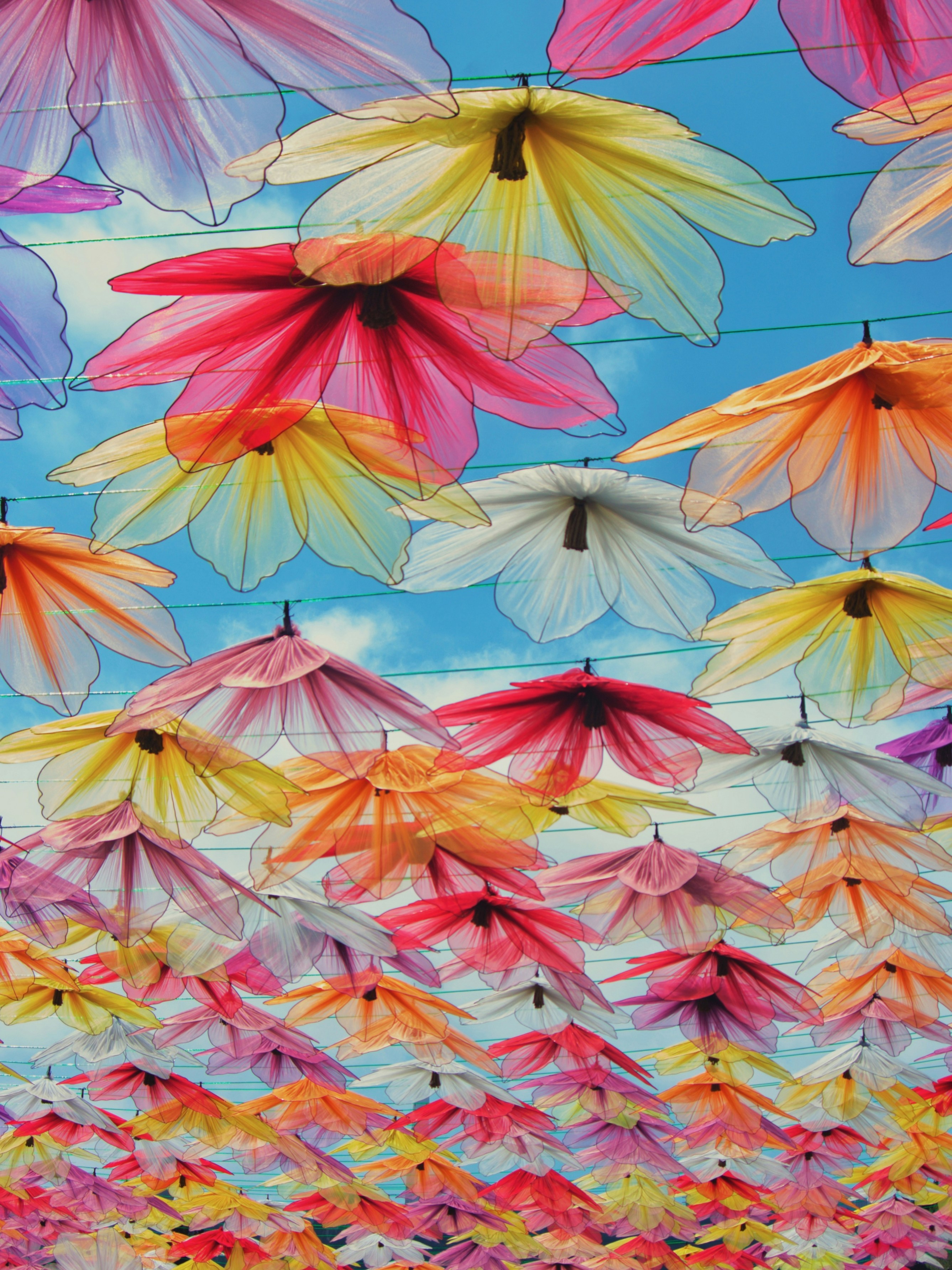 Skyward Canopies: A Burst of Umbrella Colors Over a Blue Court
