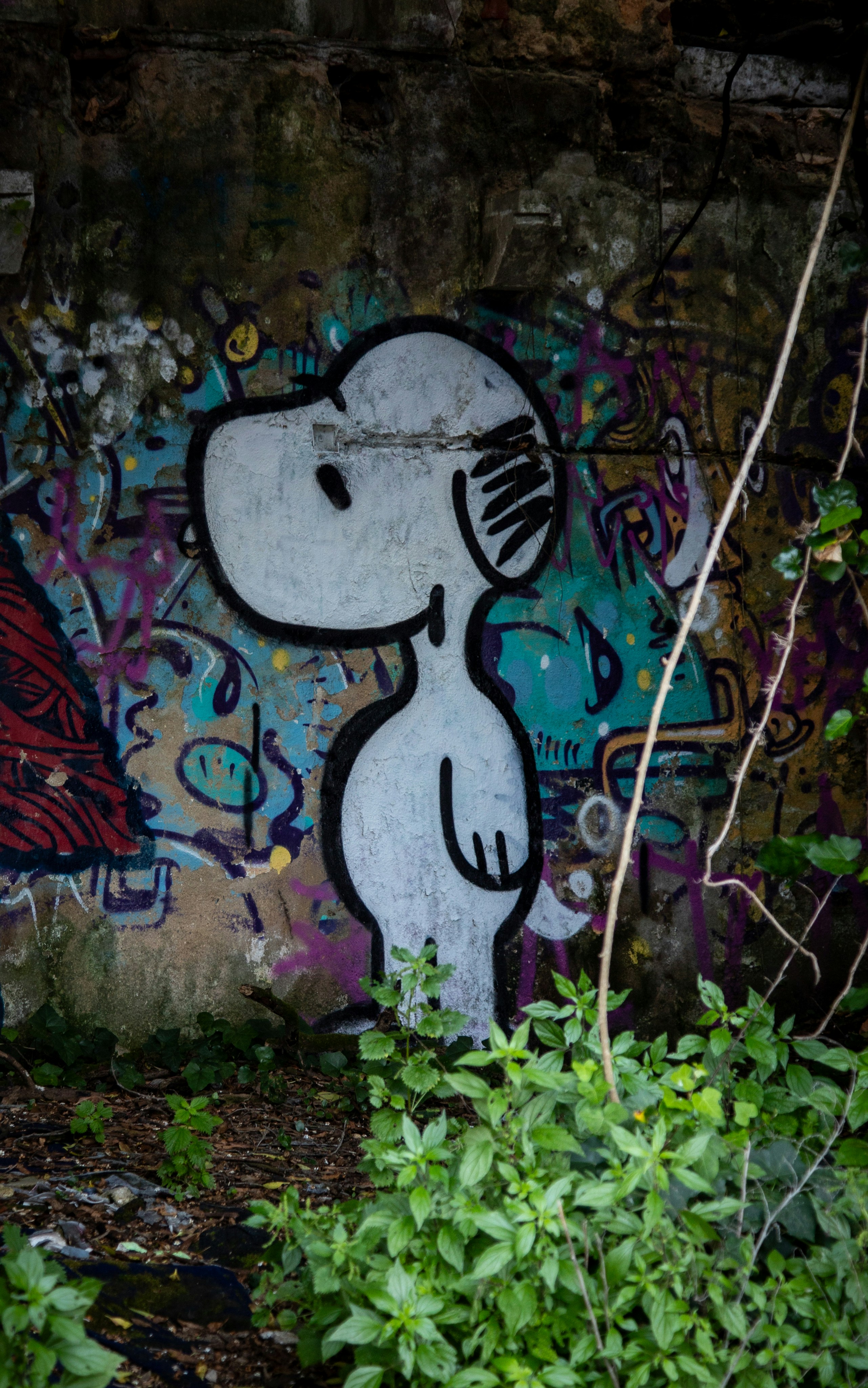 Snoopy in the Graffitied Wall: A Quiet Sentinel Amid Ivy