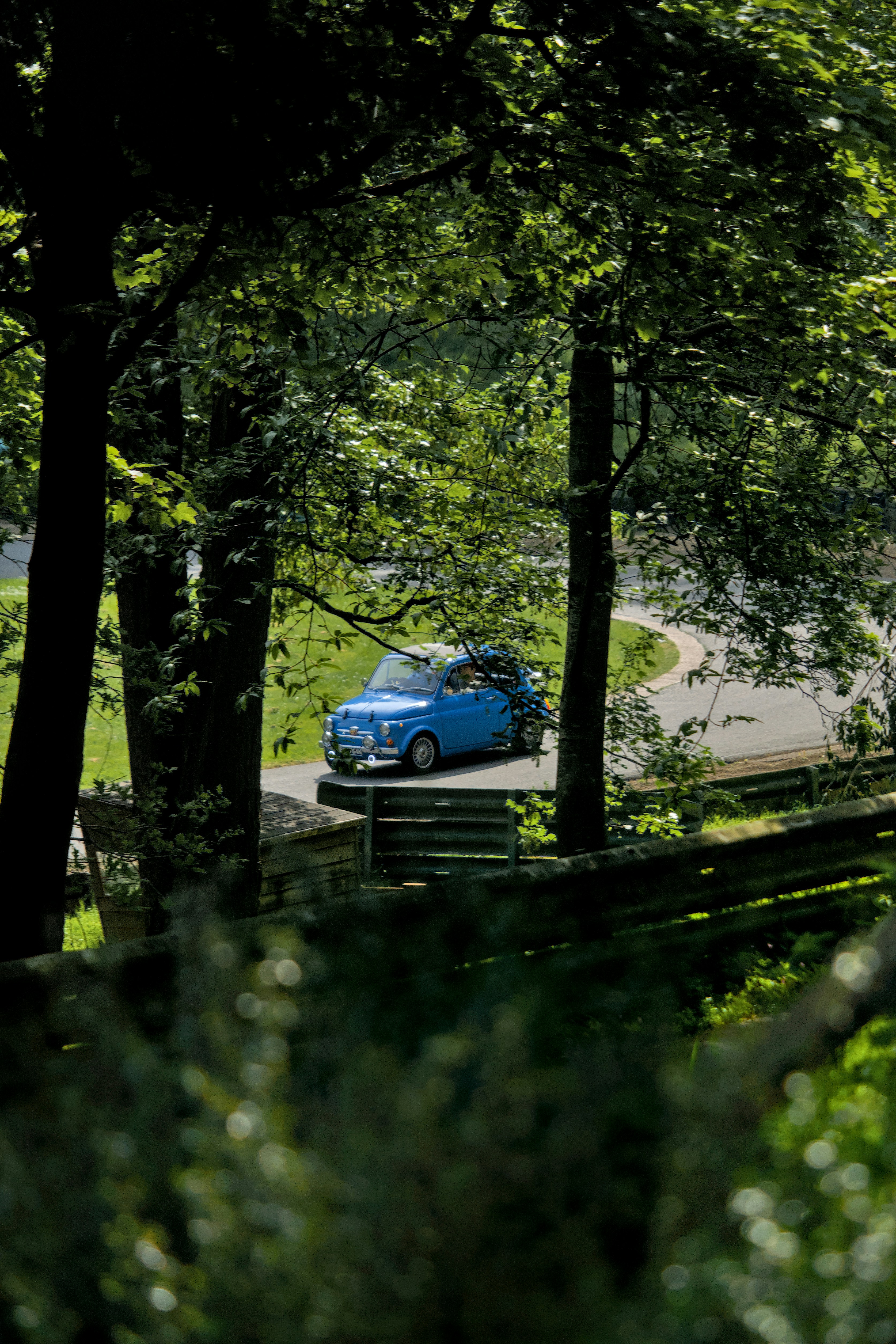 Blue vintage car peeks through a canopy of trees on a winding park road