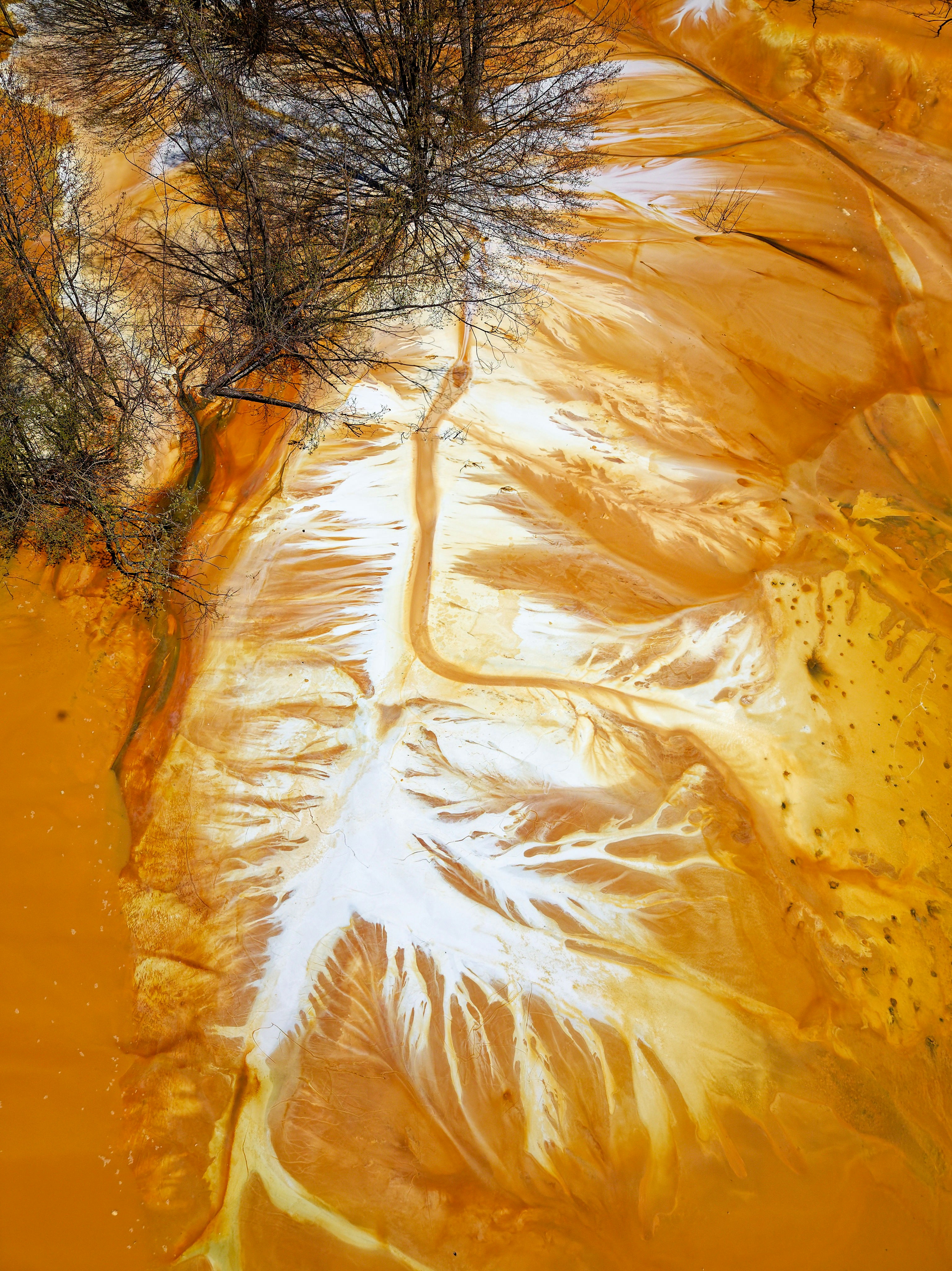 Aurum Canyon: Veiled Rivers in Iron-Wambered Light