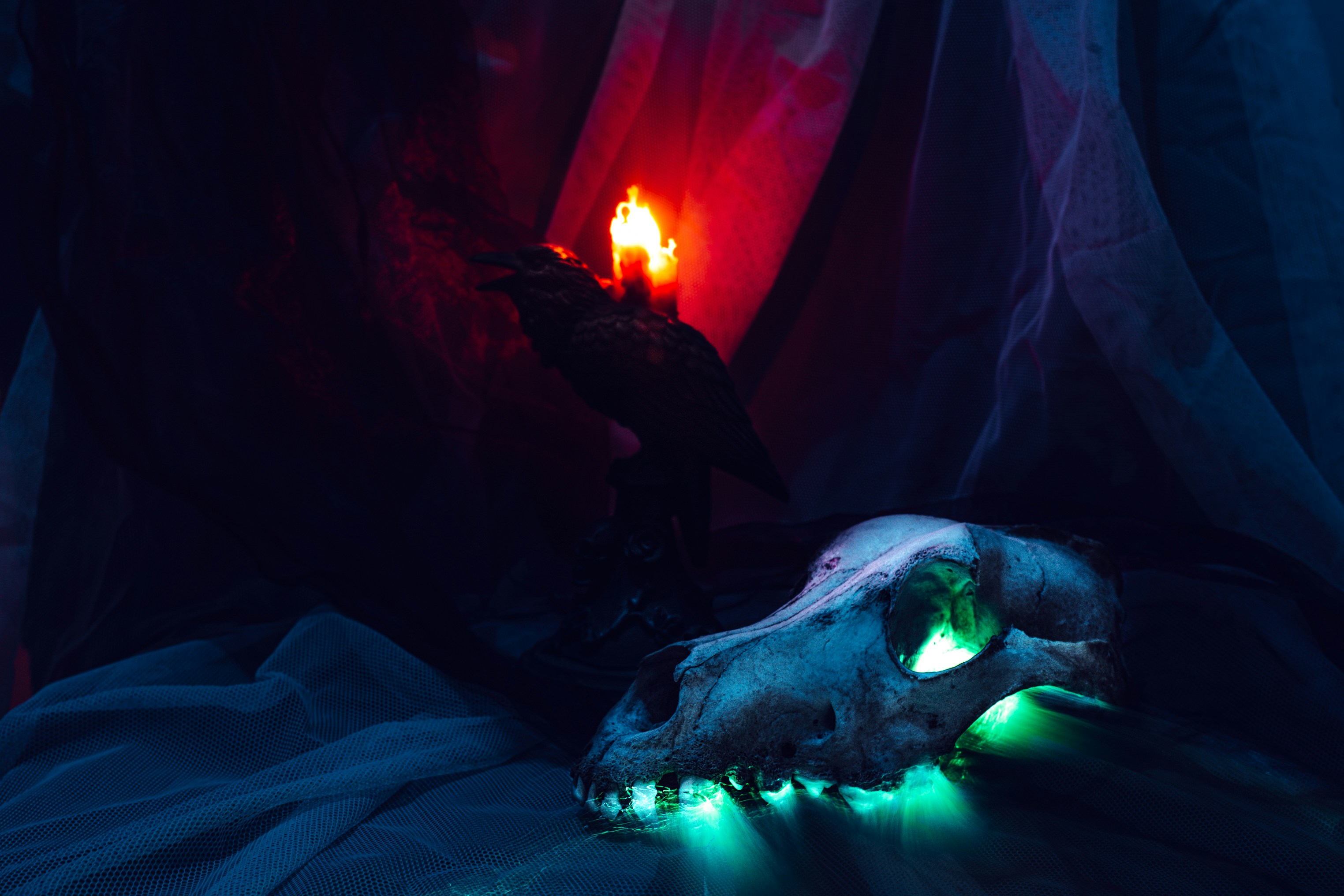 Glowing Skull Beneath a Dim Shrine