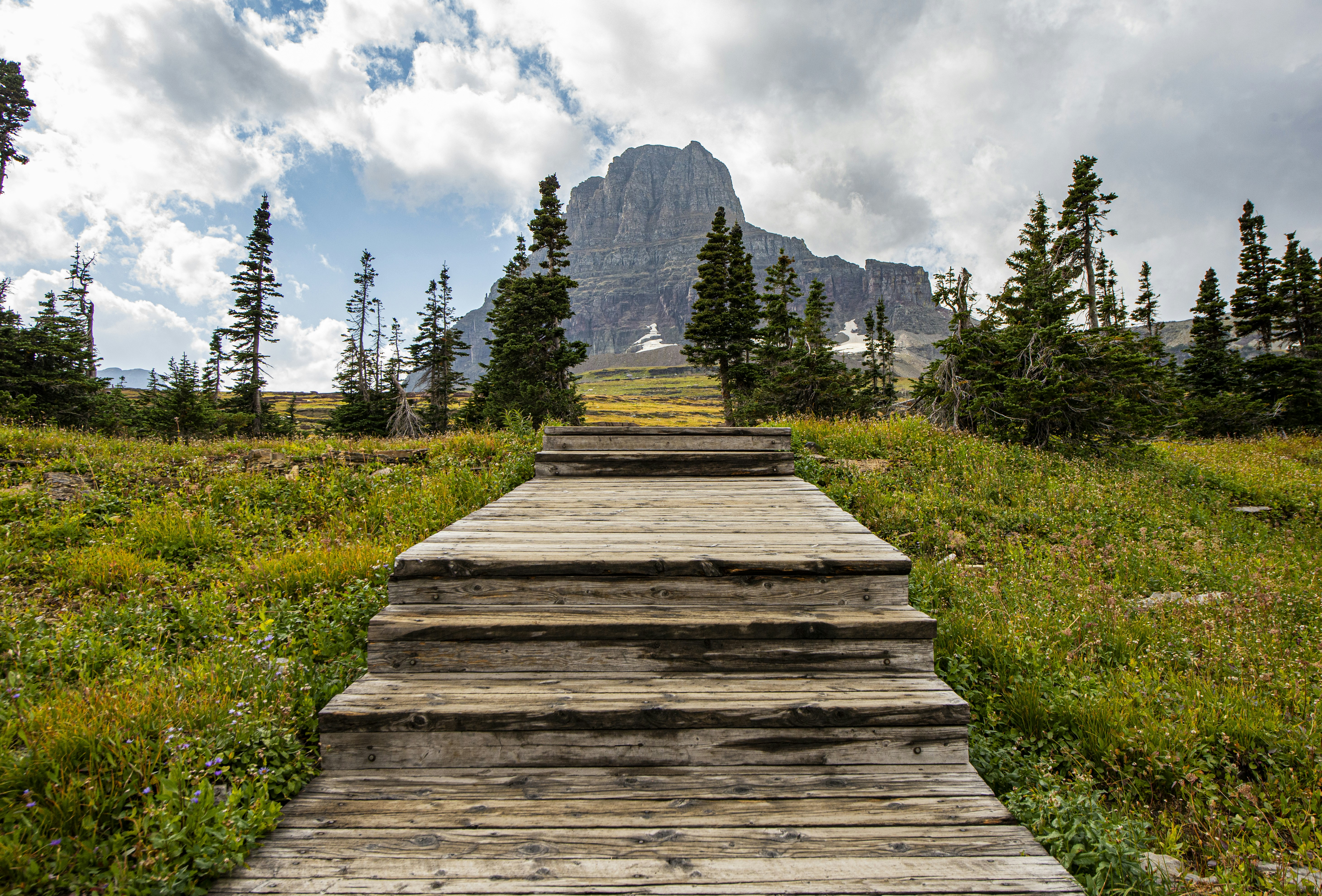 Wooden Stairway to a Mountain Meadow