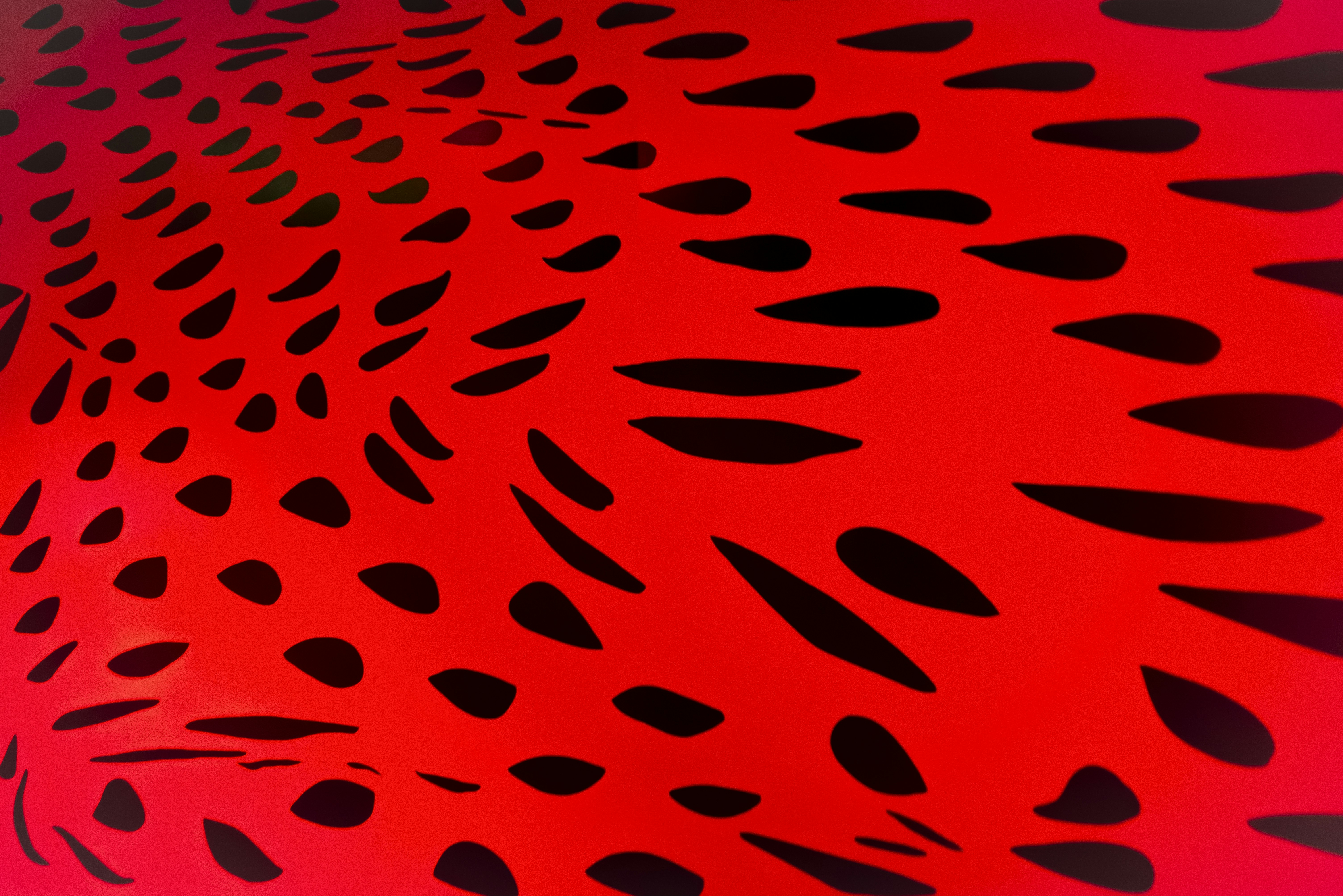 Scarlet Echoes: Abstract Red Field with Black Ovals