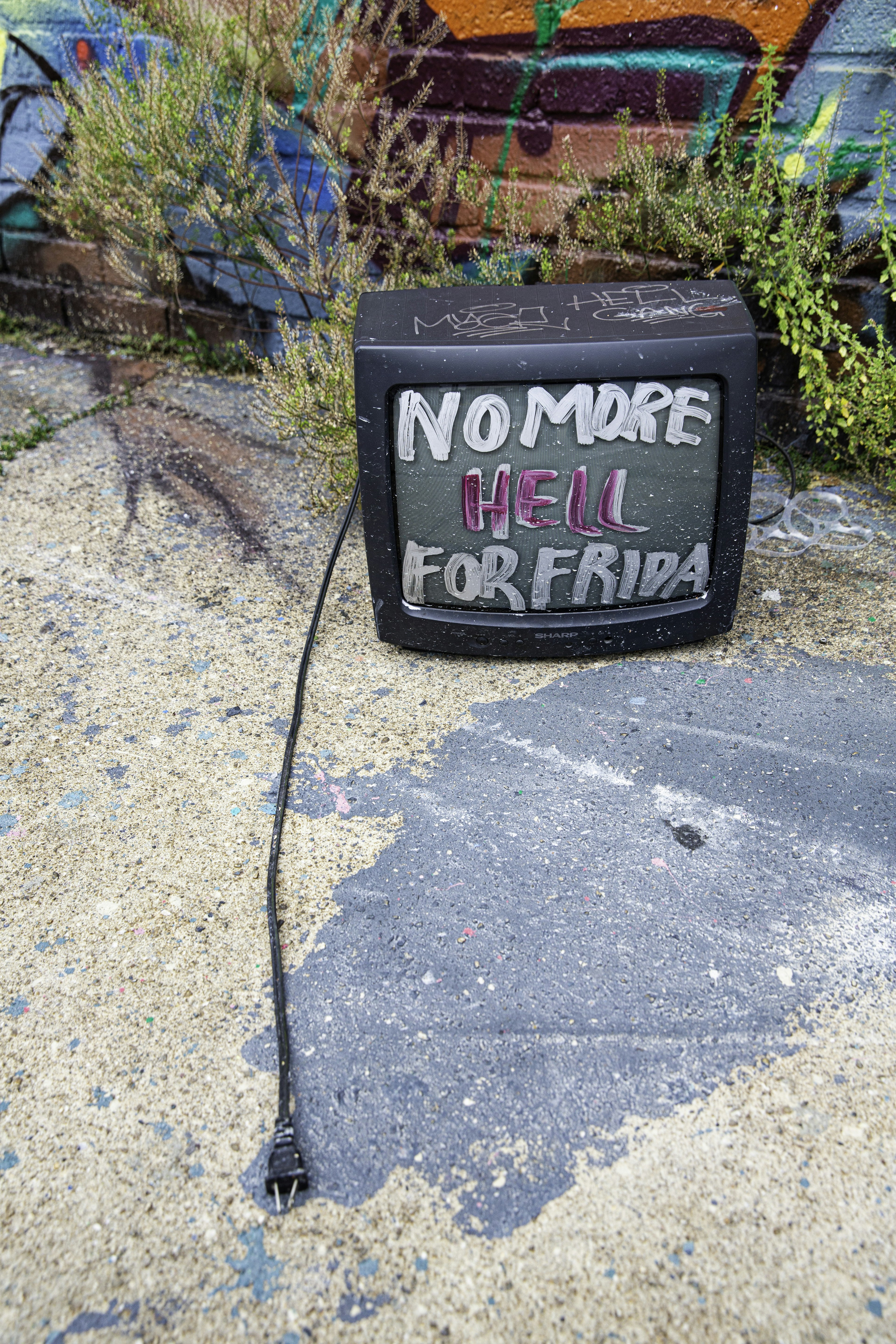 No More Hell for Fiva: Graffiti TV Amid Urban Wildflowers
