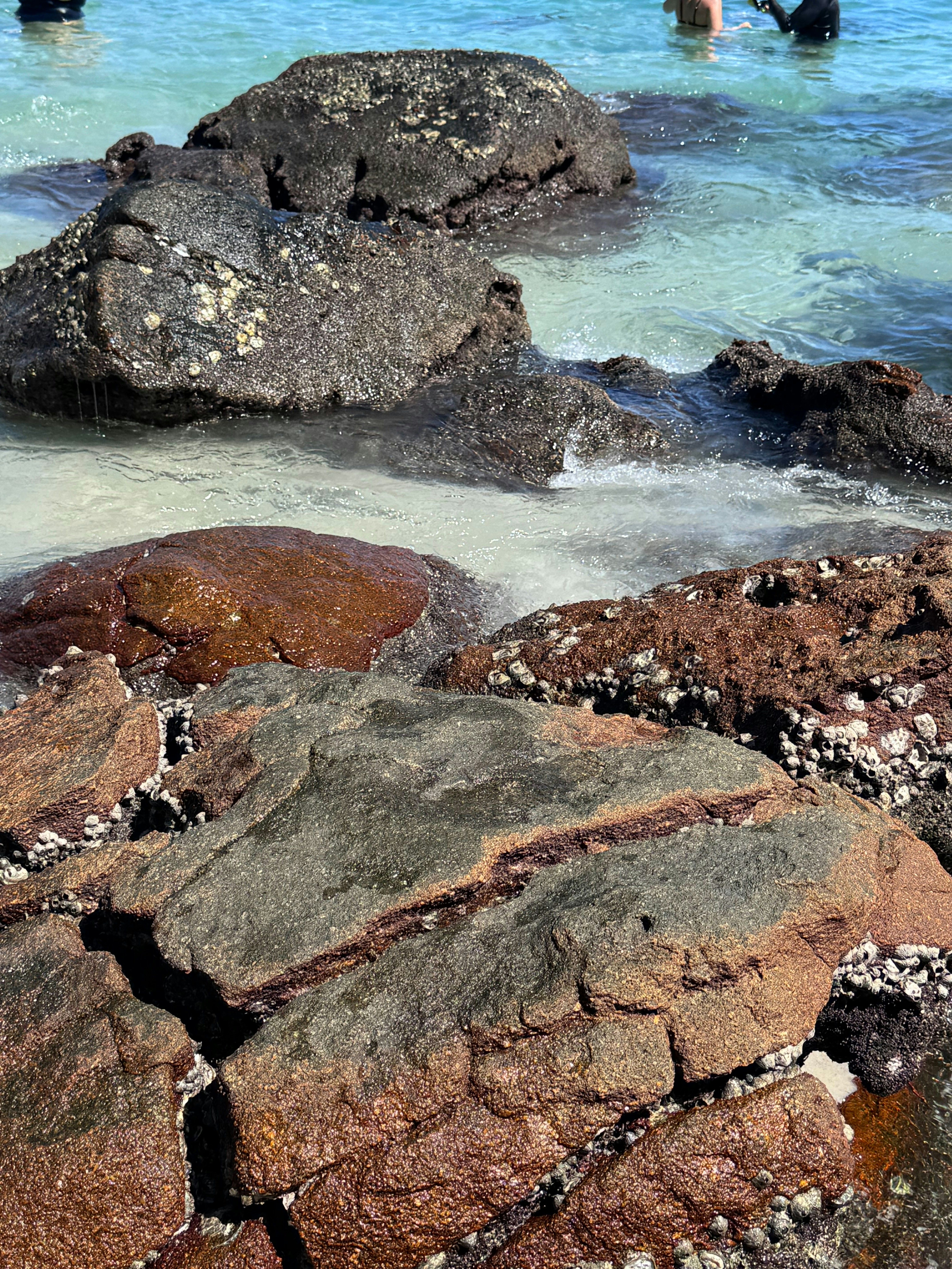 Sunlit Lava Rocks Meet Turquoise Surf at a Quiet Shore