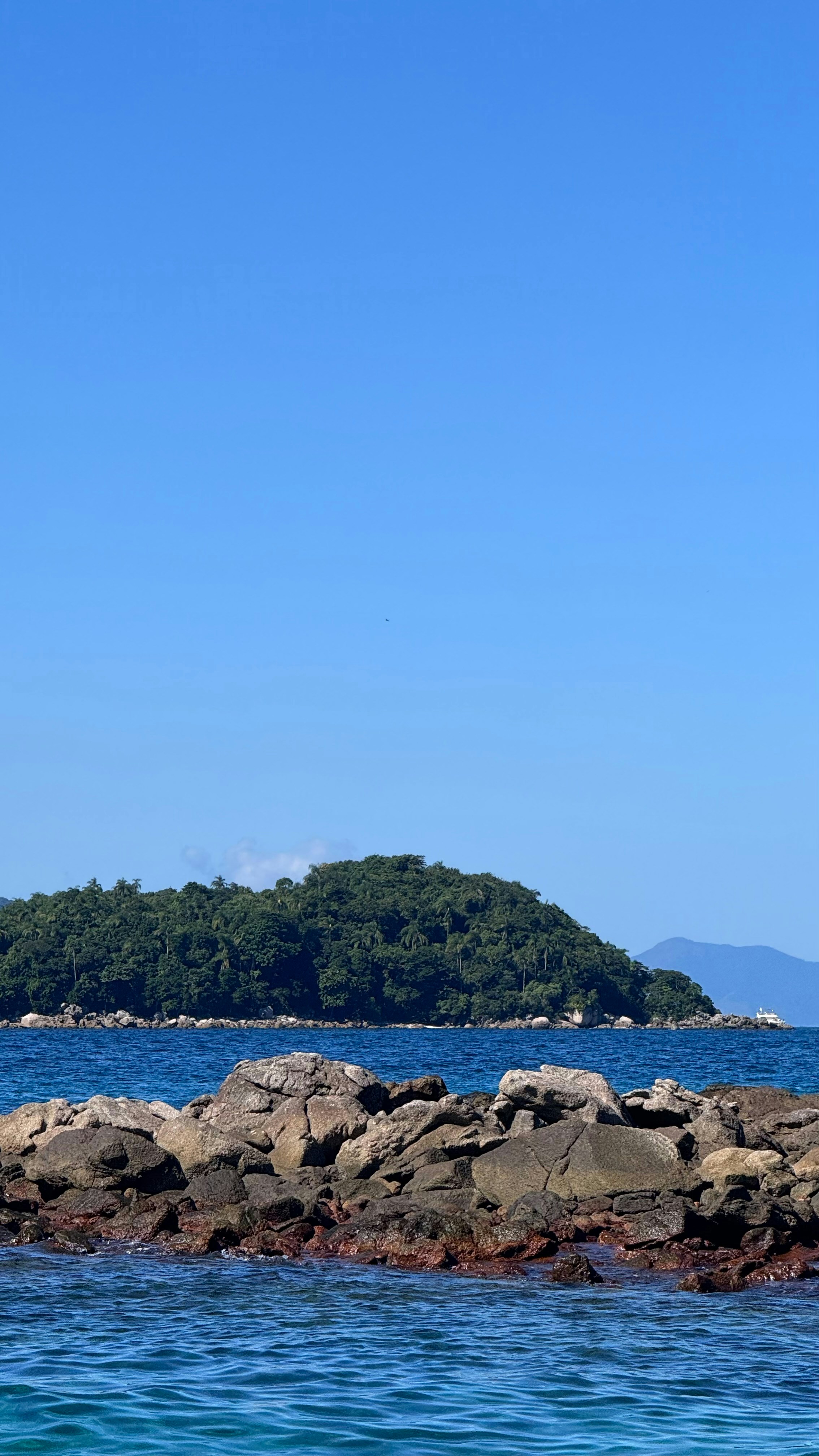 Rugged shoreline beneath a clear blue sky