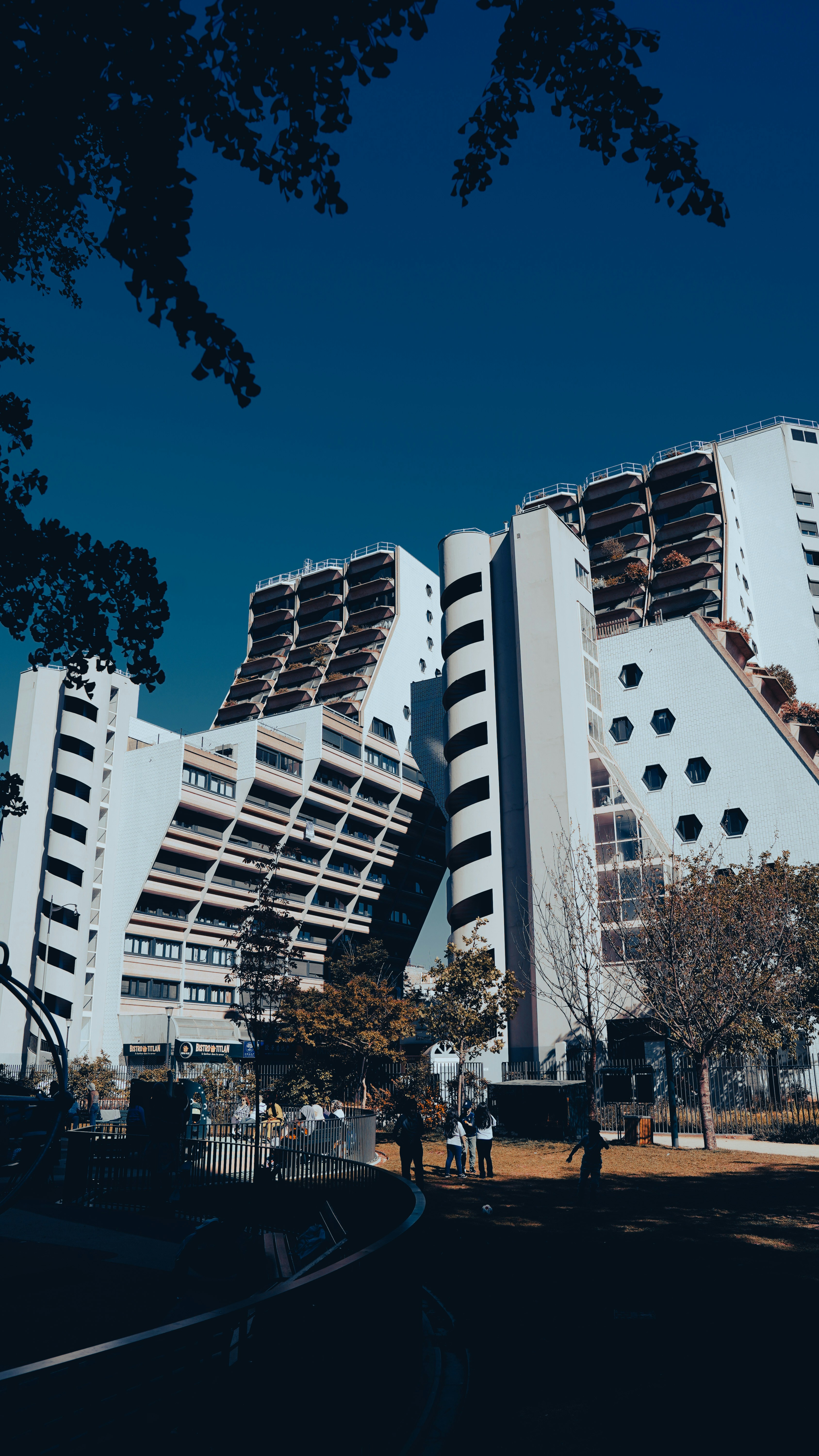 Monolithic White Wings Rising Above the Park