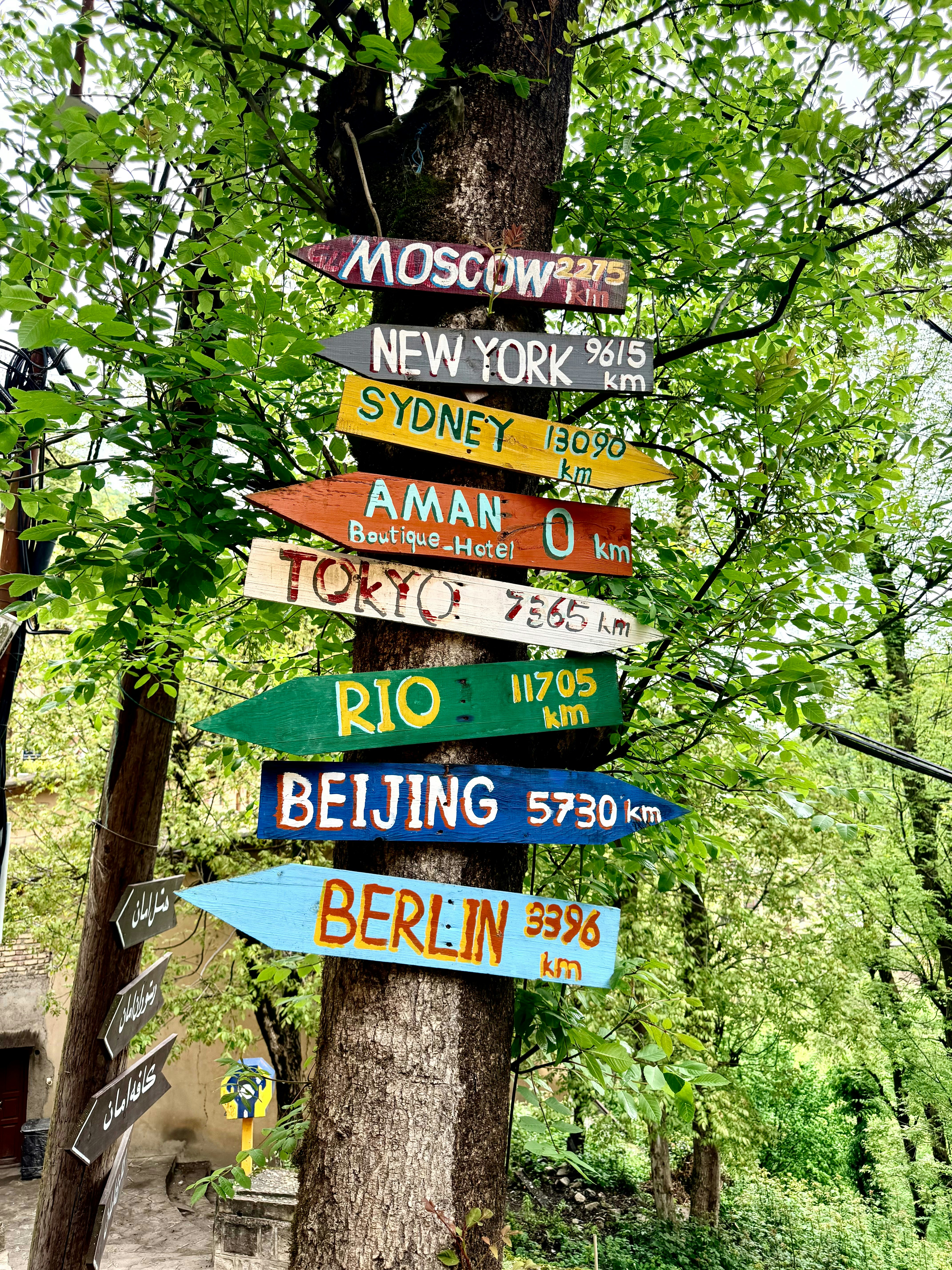 Signpost of the World: Colorful Distances Threaded on a Tree