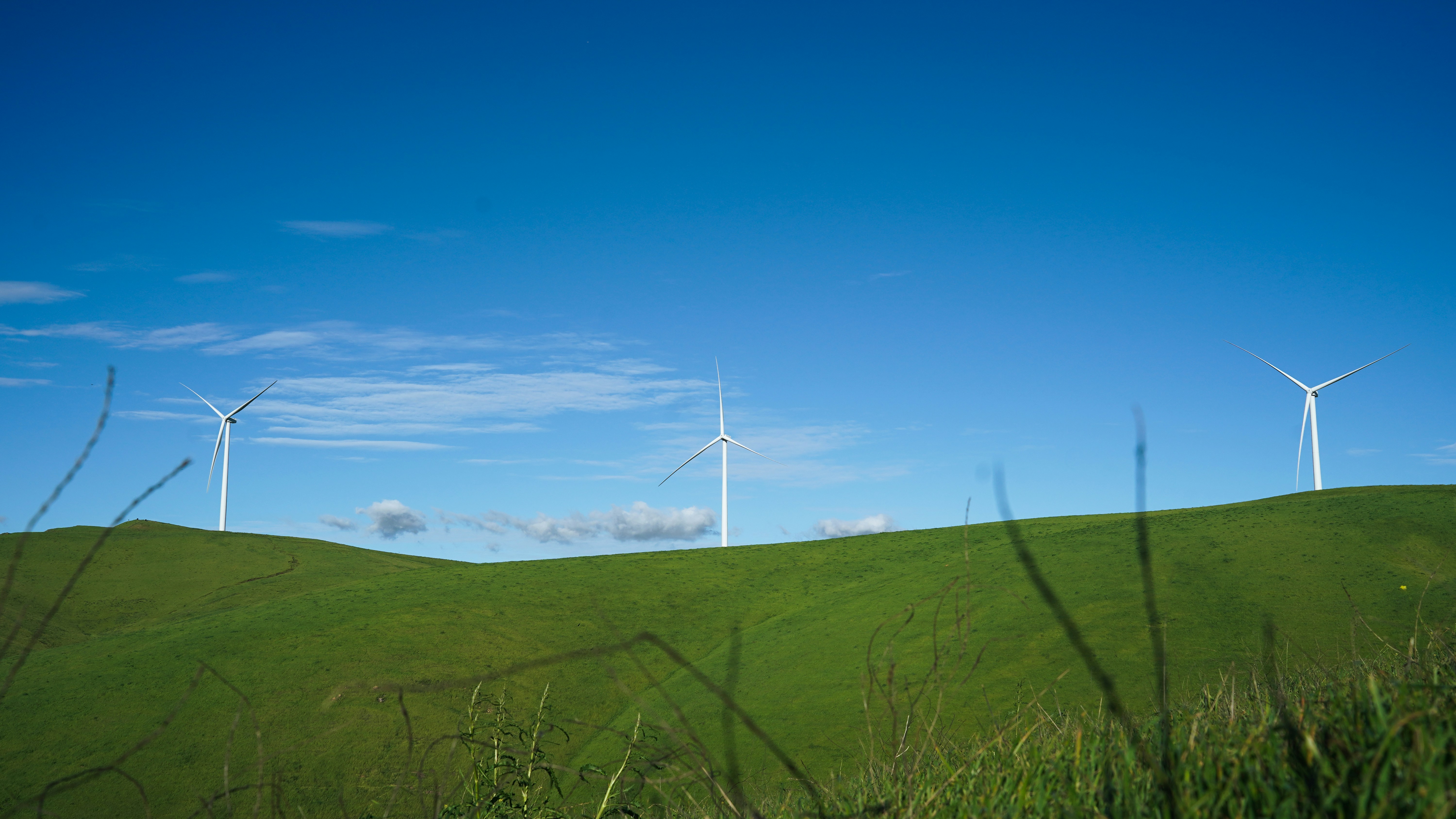 Three Wind Turbines Crown a Quiet Green Ridge
