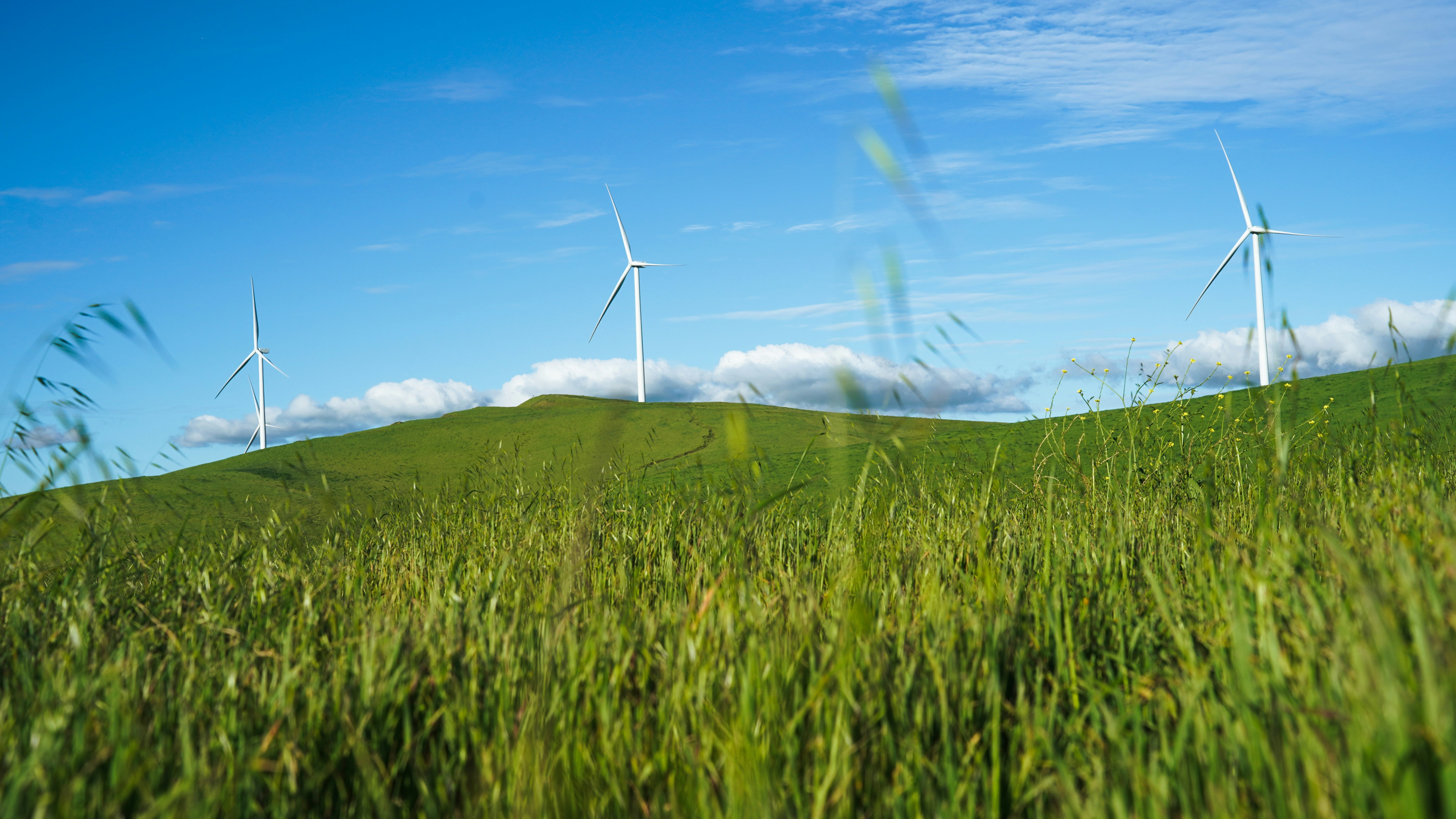 Ridge of Green: Wind Turbines on a Rolling Hill