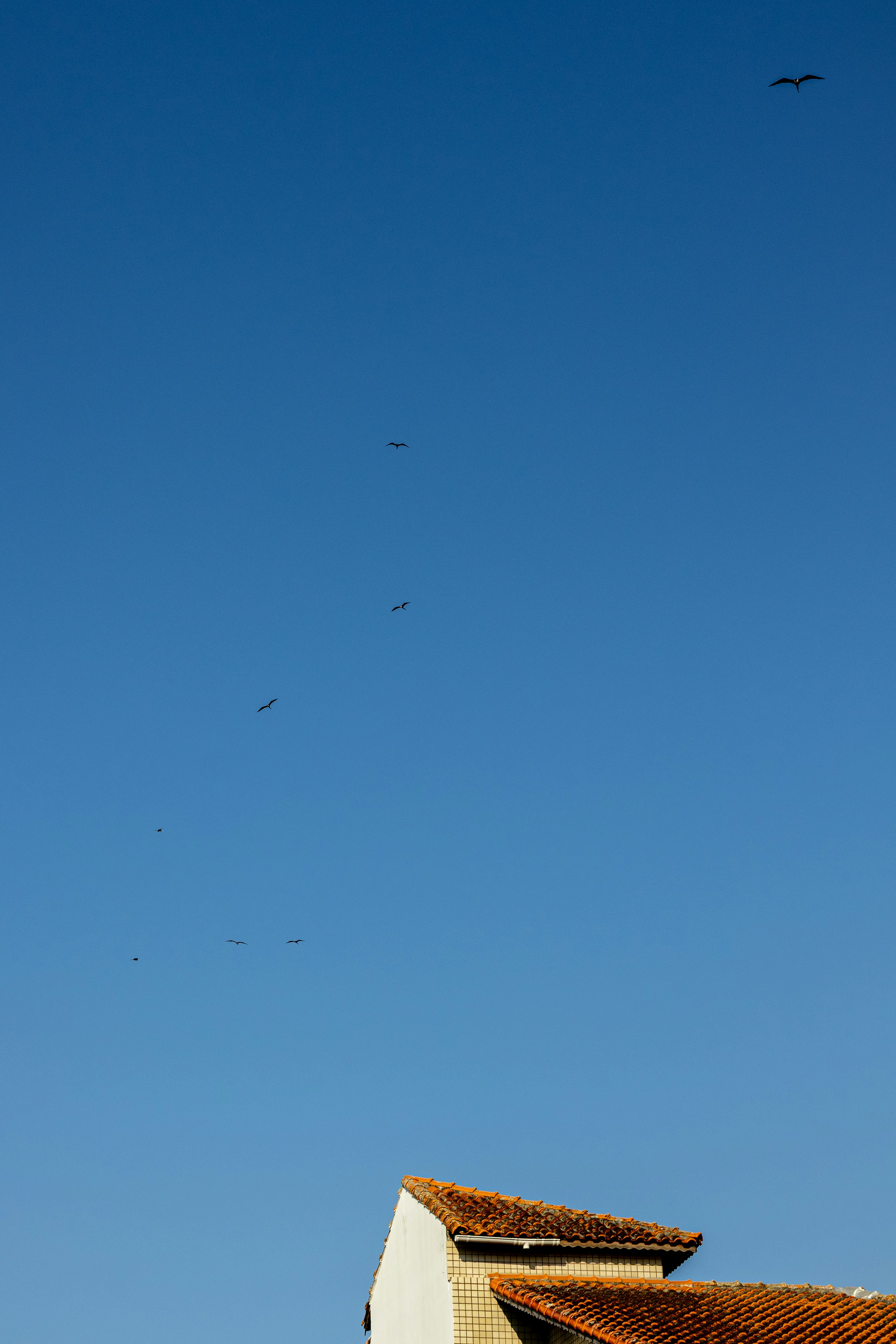 Vast Blue Sky with Rooftops at the Horizon