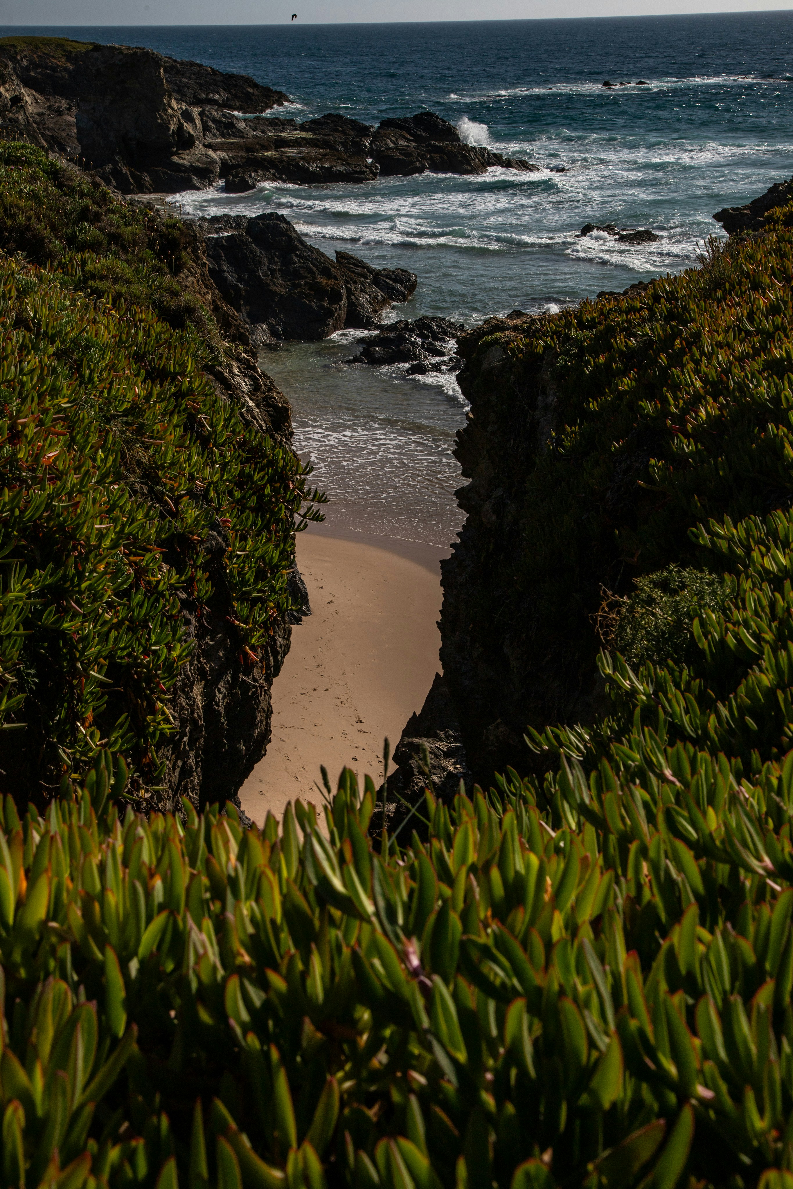 Hidden Beach Between Cliffs: Green Veil Meets the Atlantic