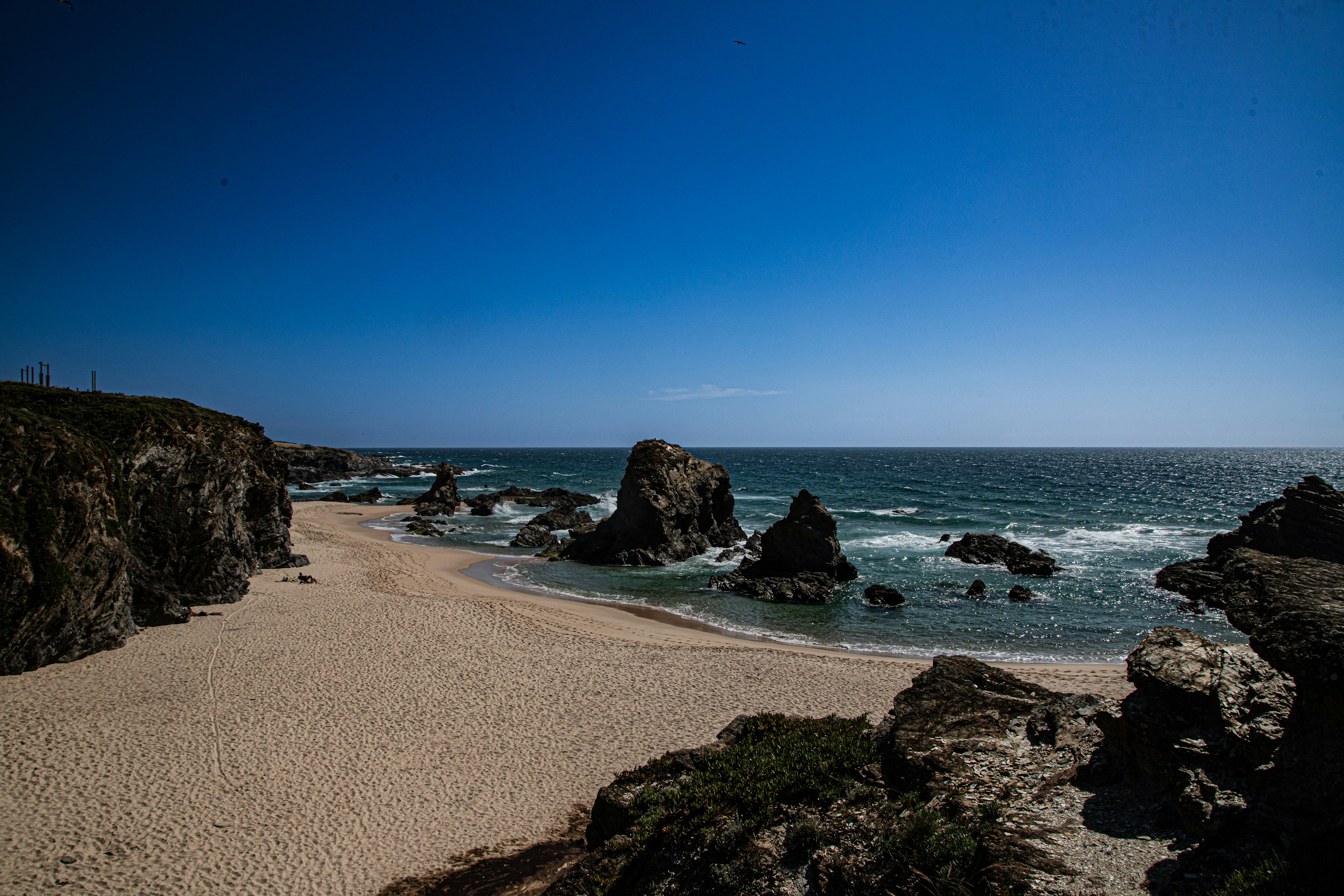 Coastal Rock Choir at Noon