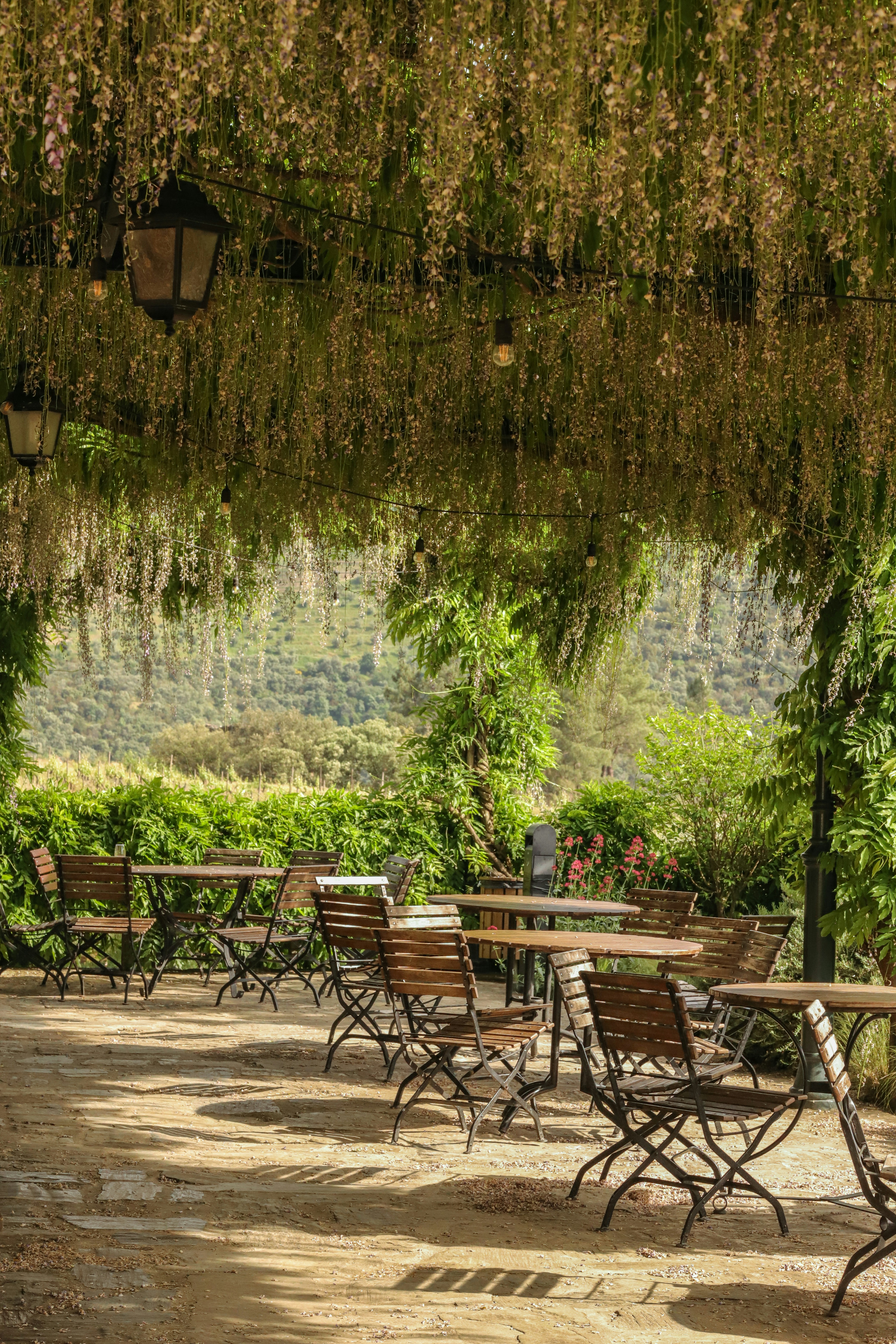 Shaded Courtyard Terrace Beneath a Veil of Blossoms