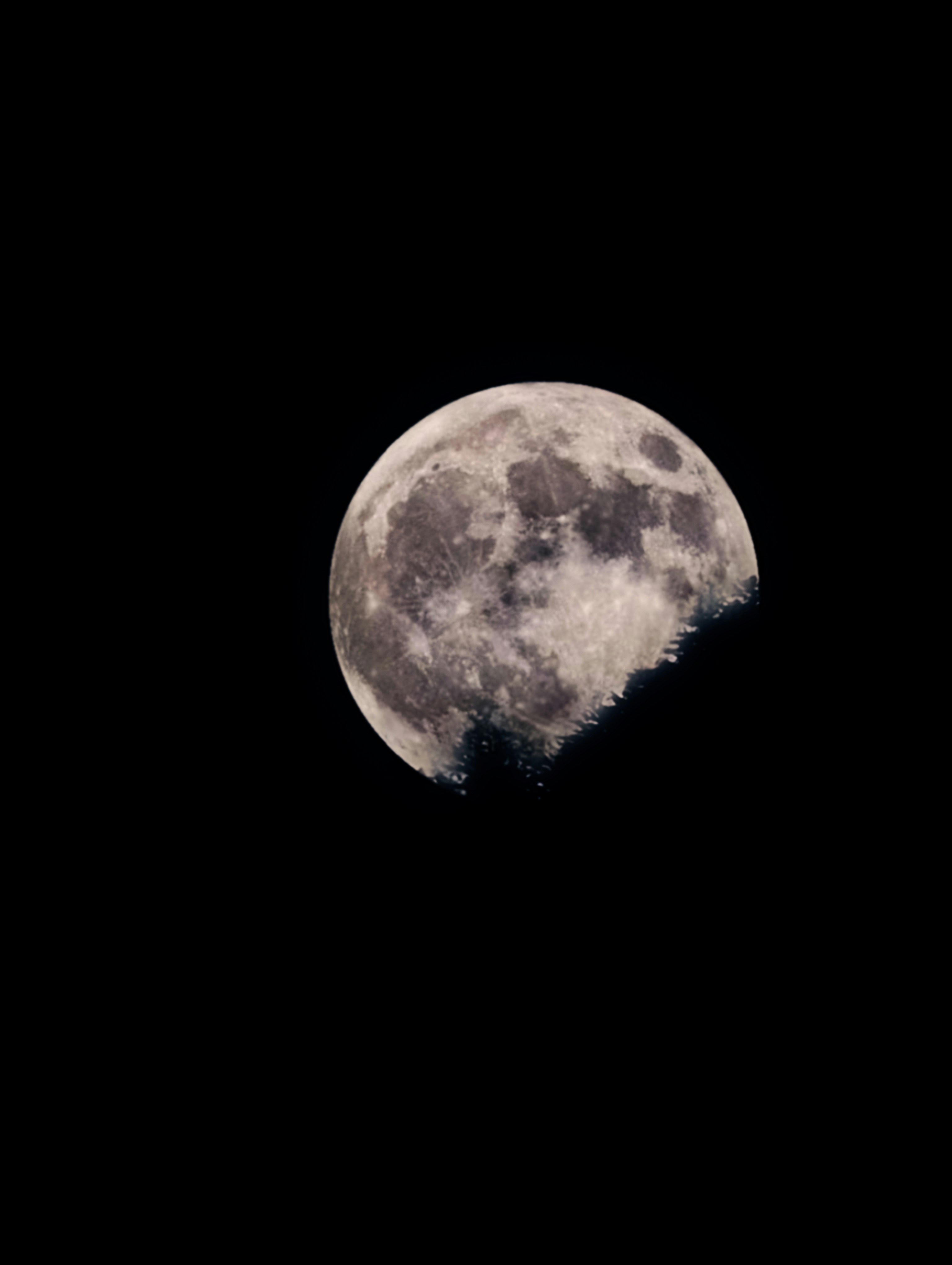 Lunar Crescent Emerges from Night's Edge