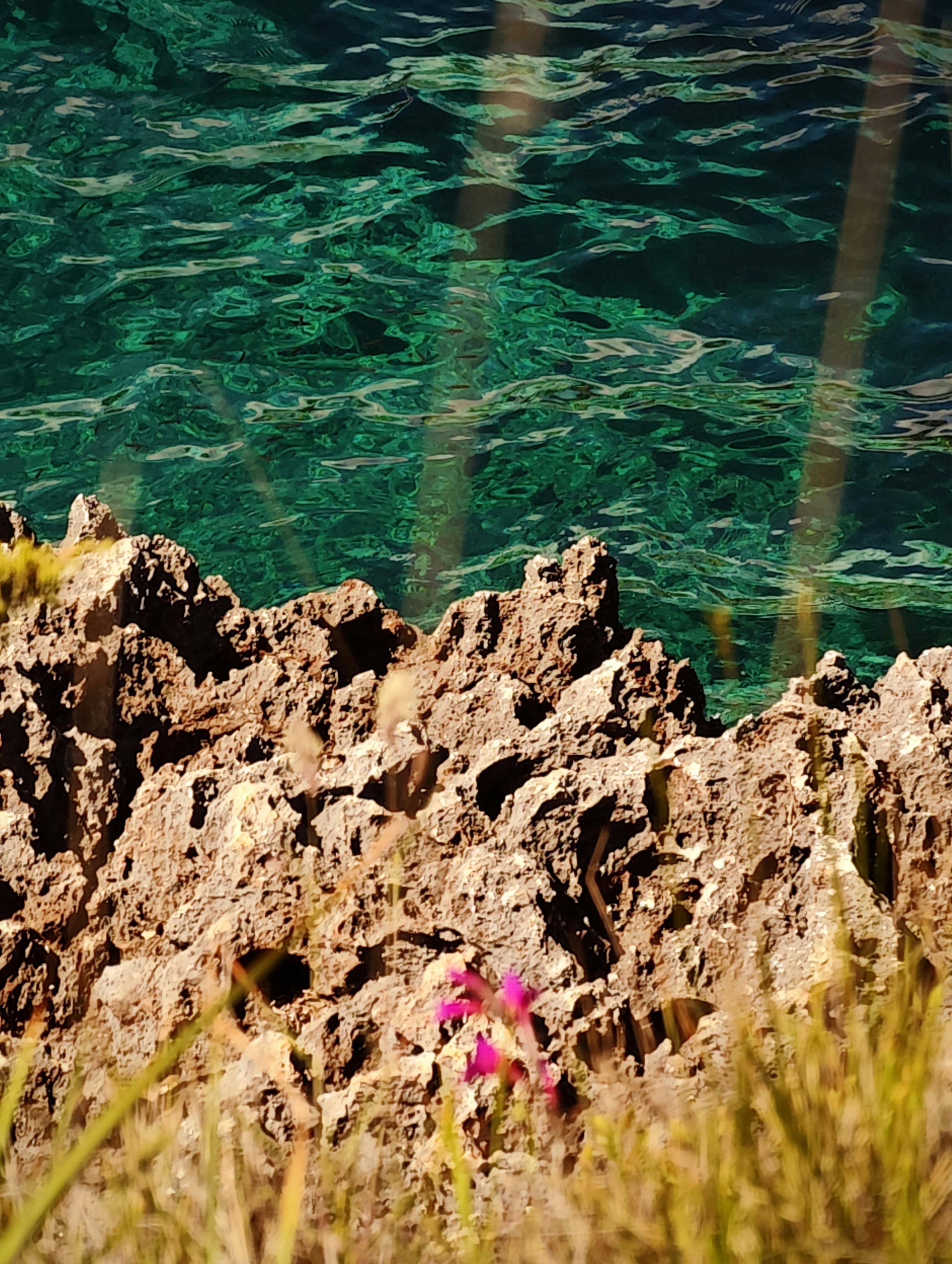 Rugged shoreline meeting crystal-green water at midday