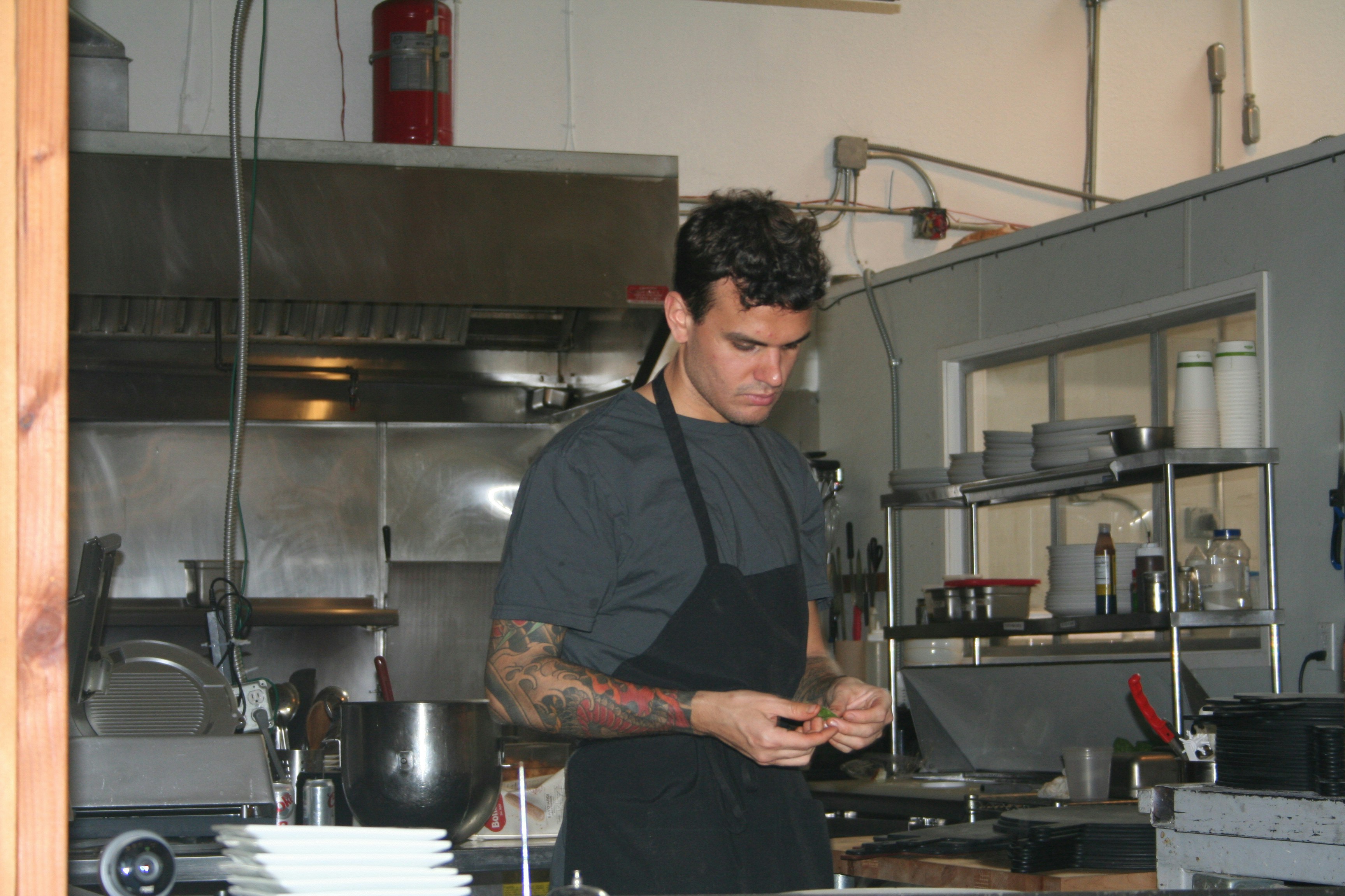 Chef at Work: focused handcraft in a busy kitchen