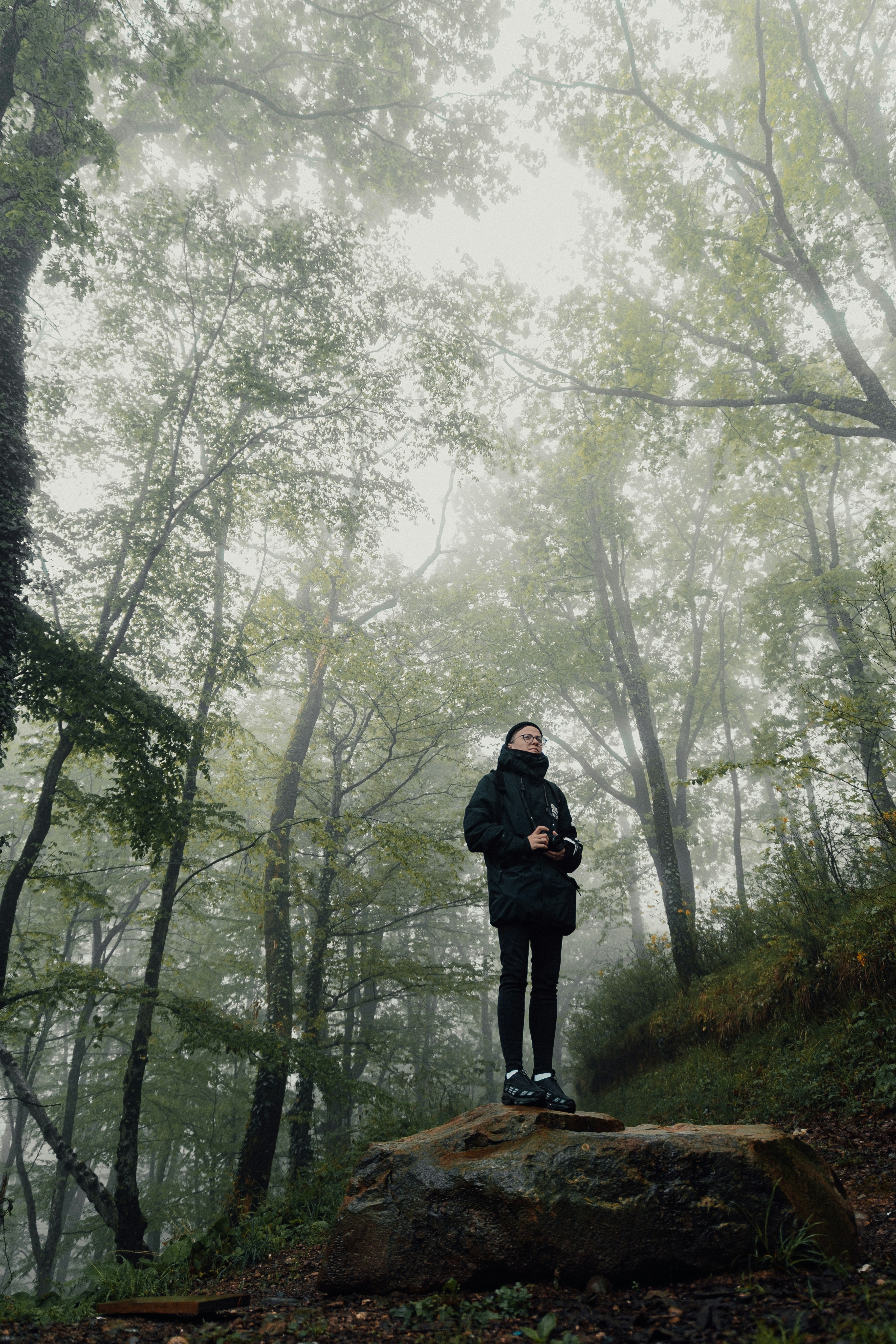 On the Misted Overlook: A Photographer Stands Tall on Stone in the Forest