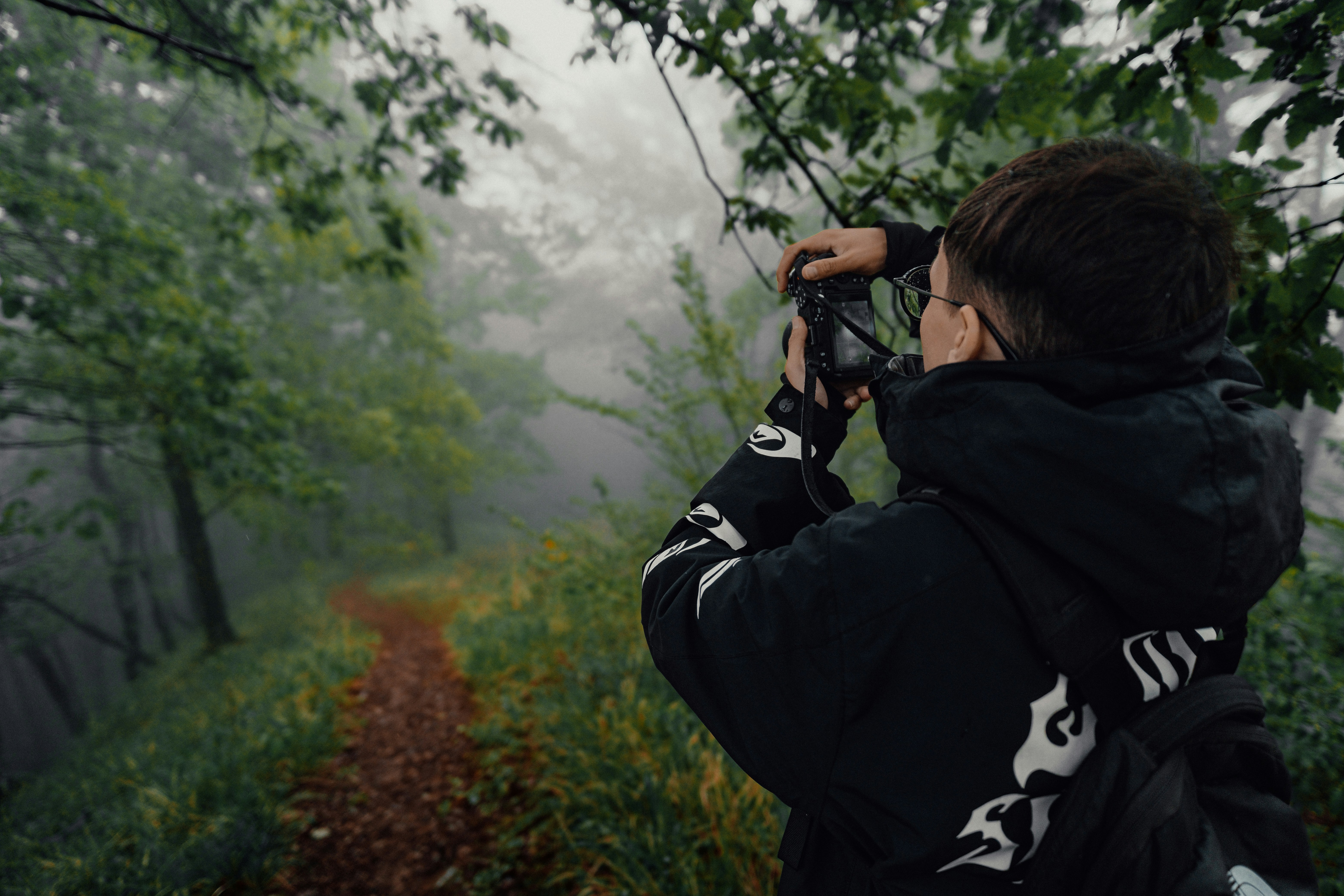 Forest Gaze: A Photographer on the Misty Trail