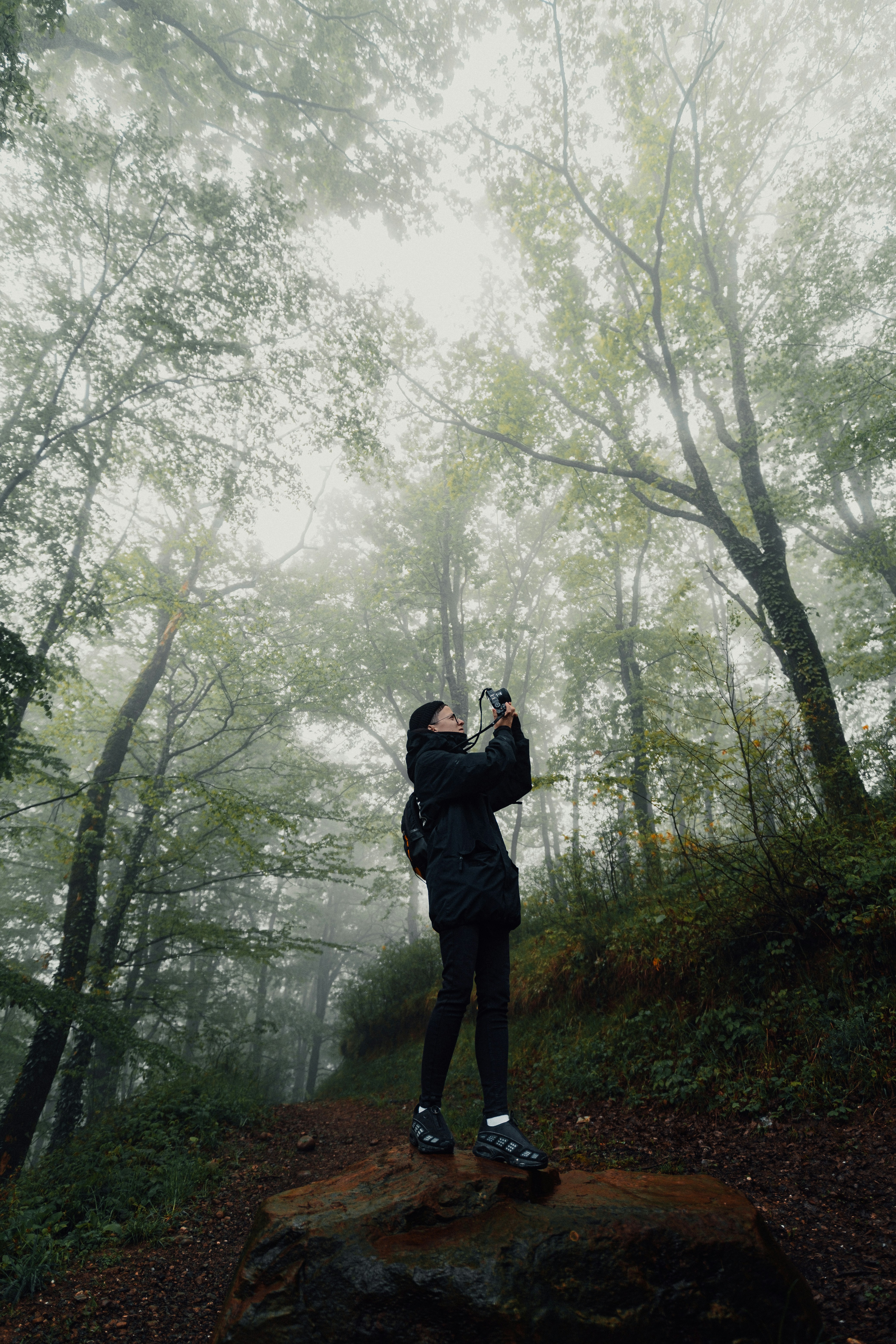 Mist-Softened Summit: Photographer Reaches for the Rain-Soft Light