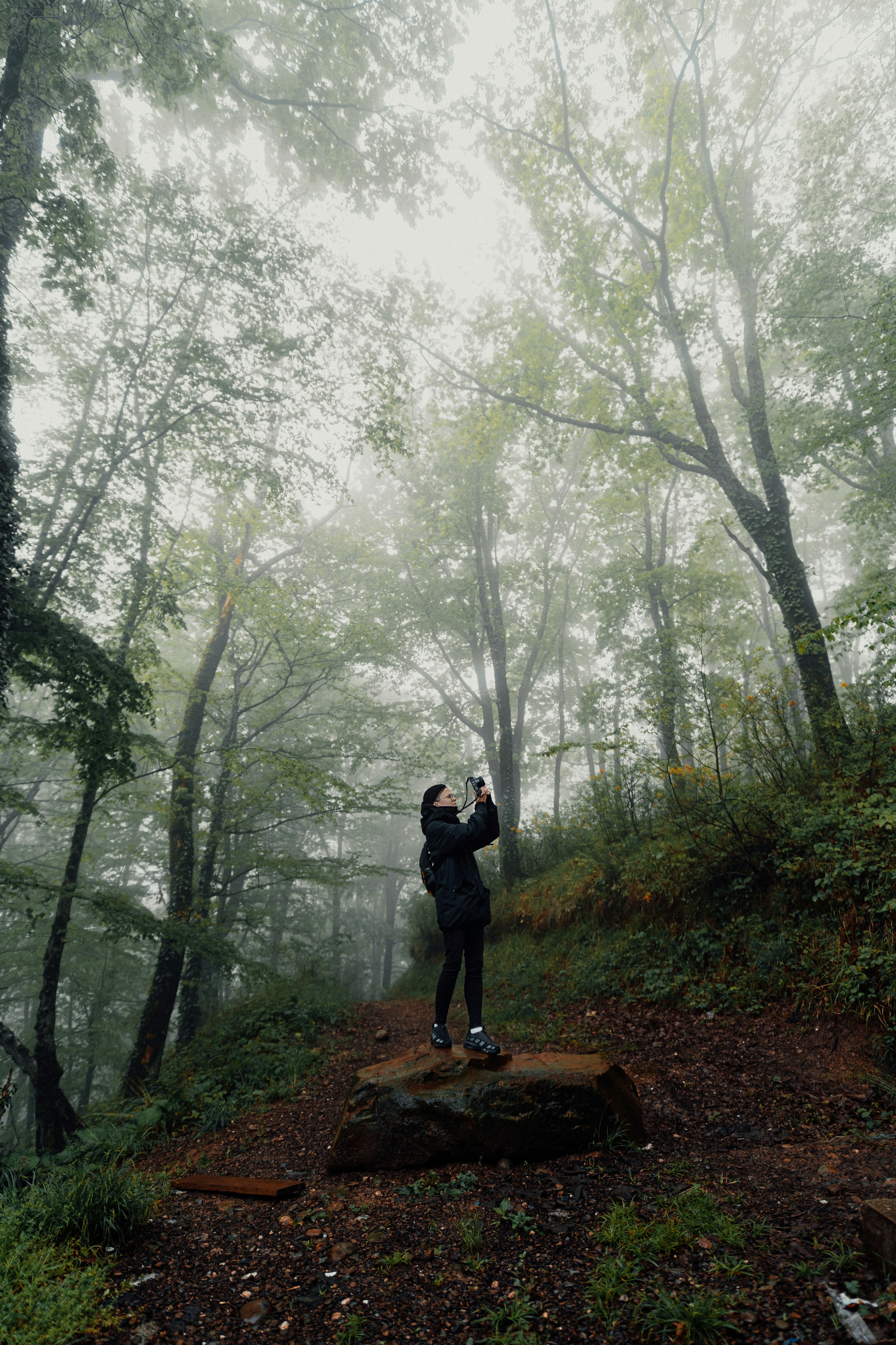 Mist-wrapped Summit Portrait