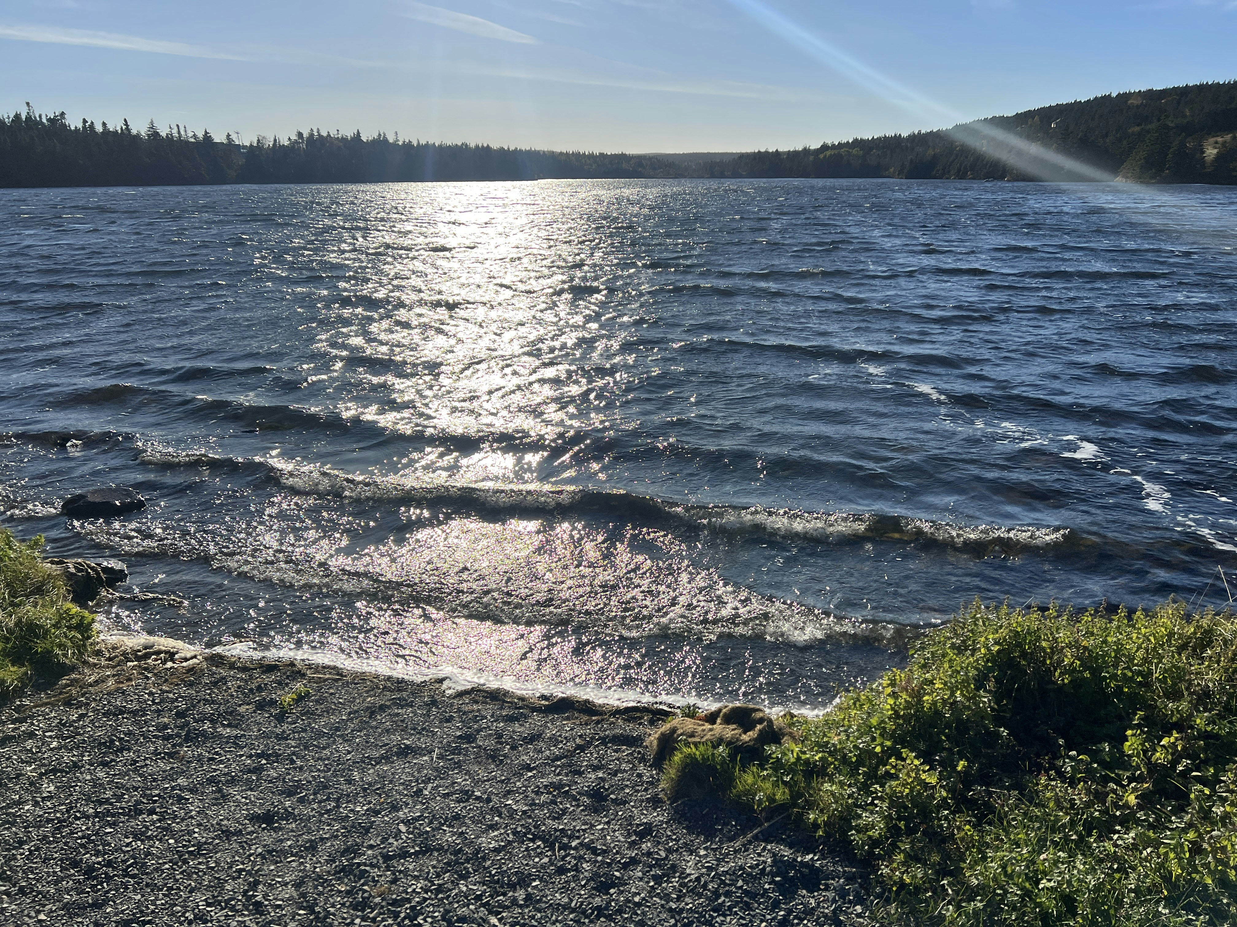 Sunlit Ripple: Shoreline Glints on a Quiet Lake
