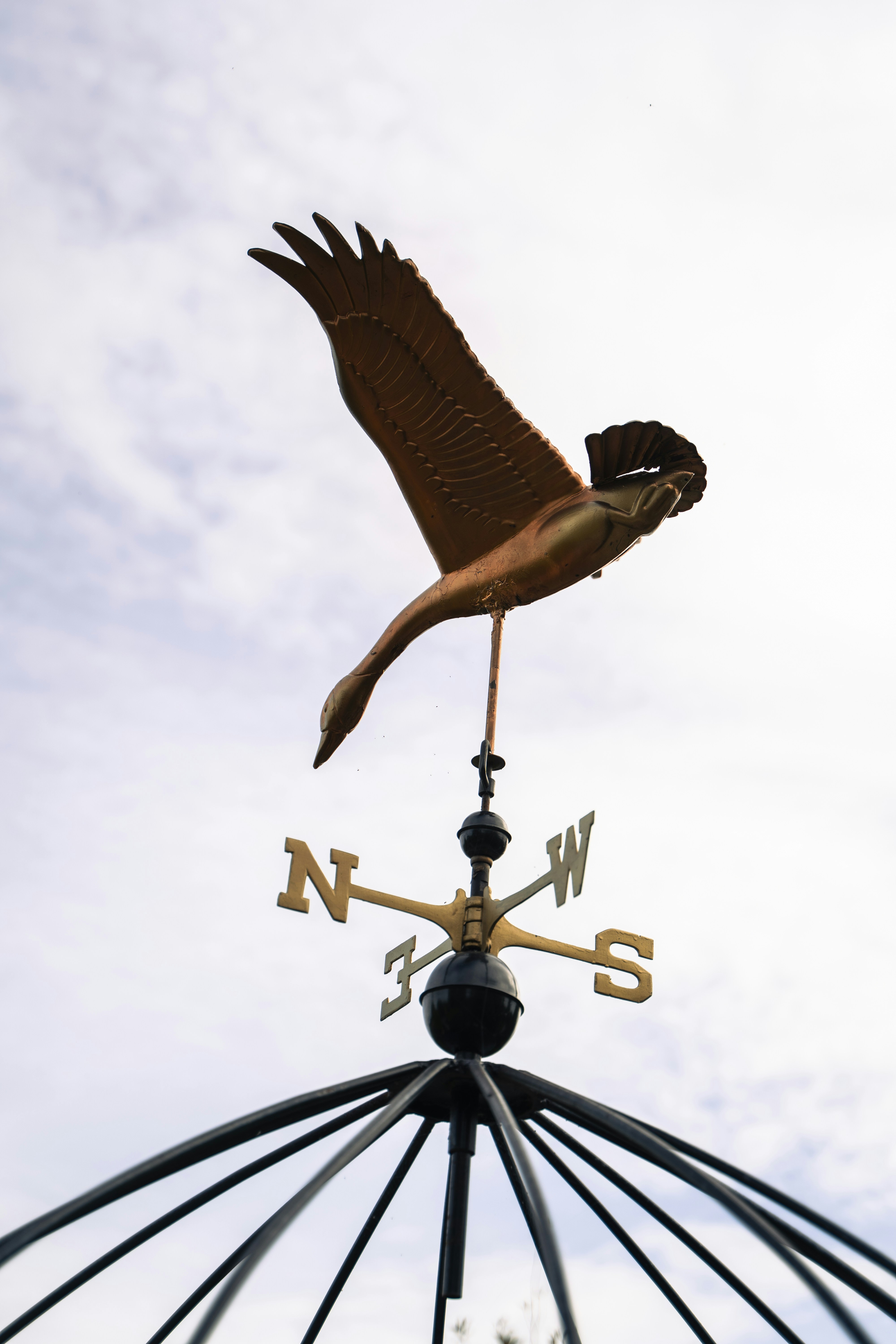 Weathervane Wings: A Crane in Flight Above the Compass