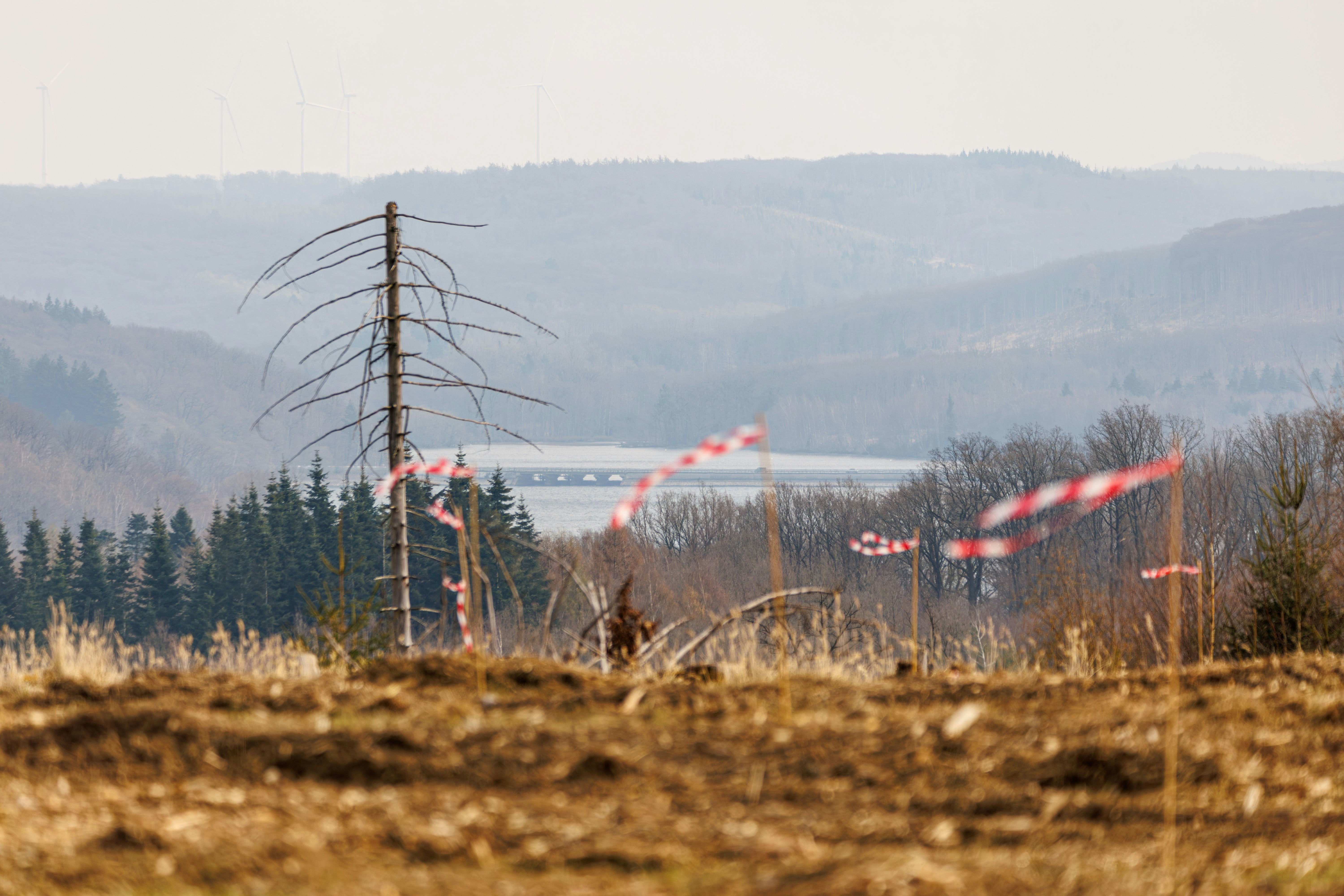 Wind-Dried Field with Remnant Barrier
