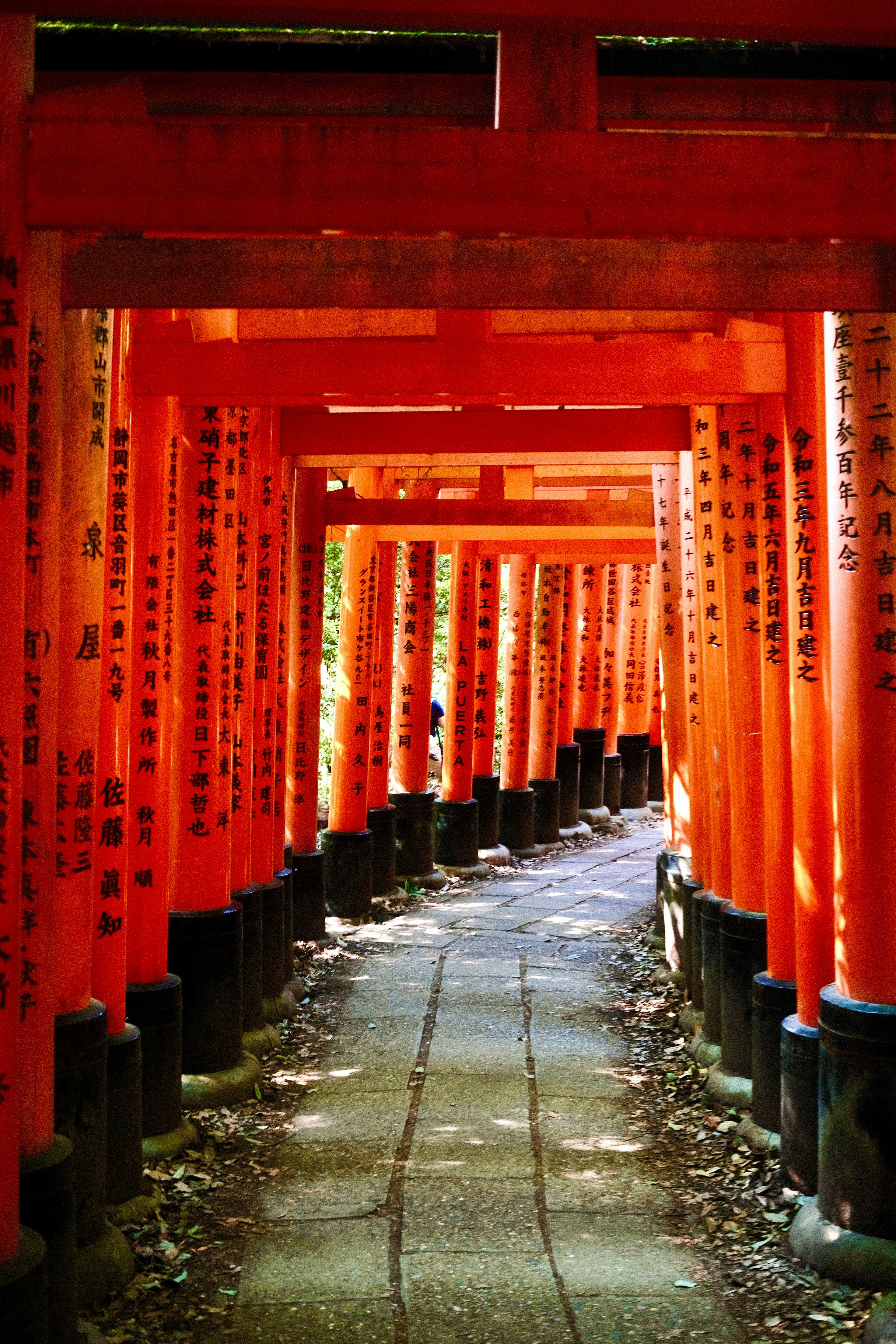 Rising Path: A Corridor of Red Gates Dimming into Light
