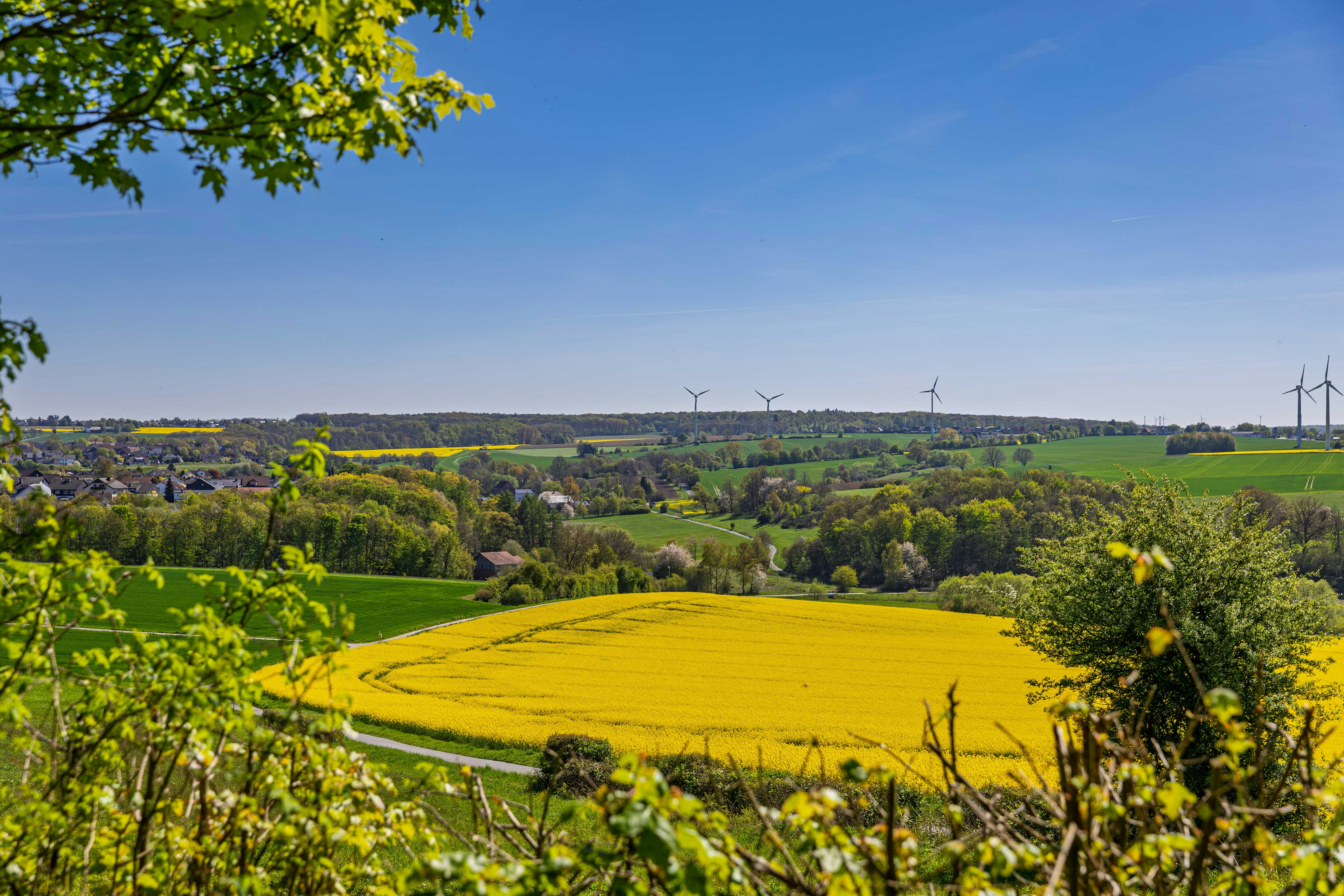 Golden Field Overlook: A Quiet Horizon with Wind Turbines