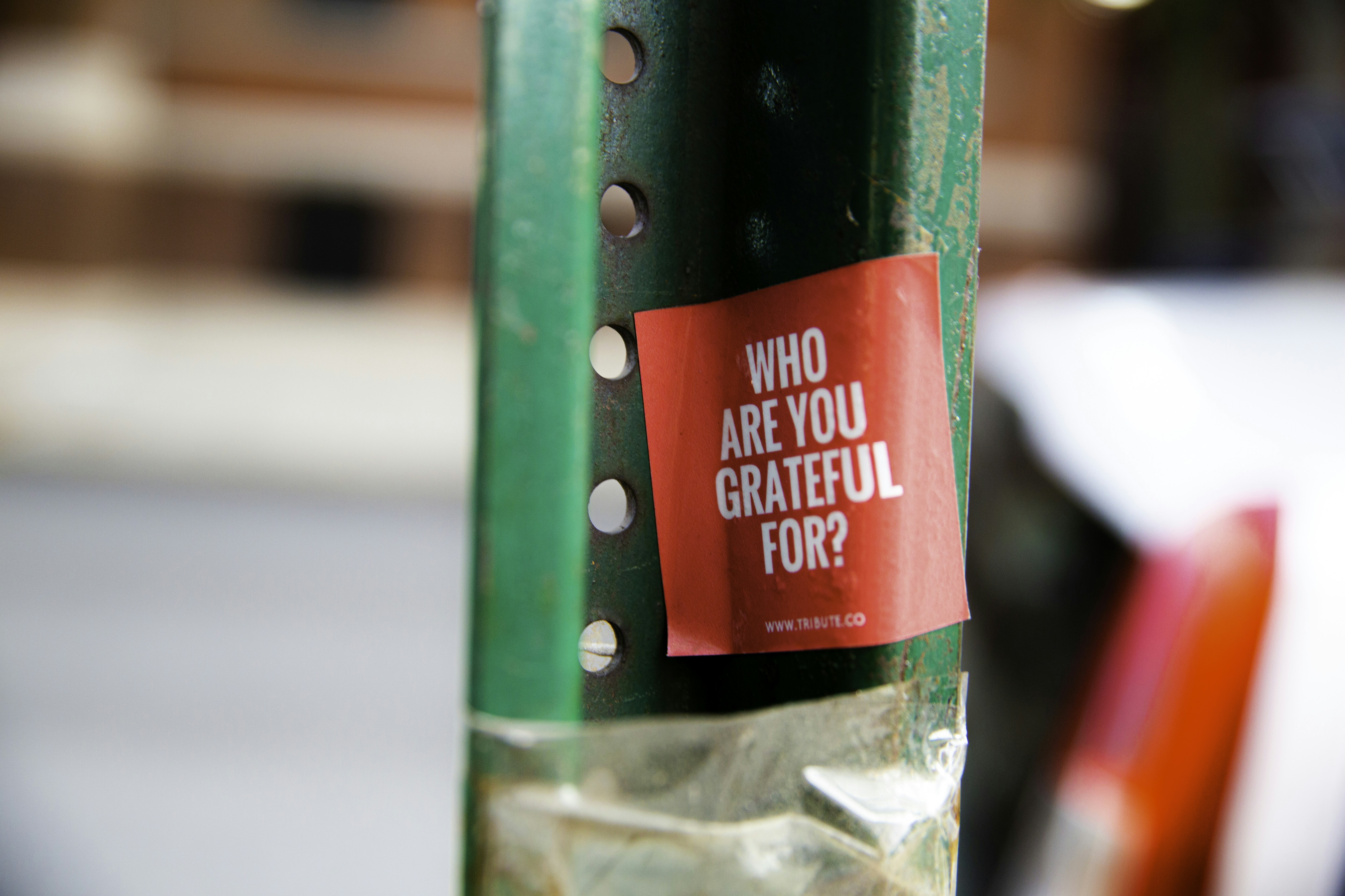 Gratitude on a Street Pole: a sticker’s quiet plea