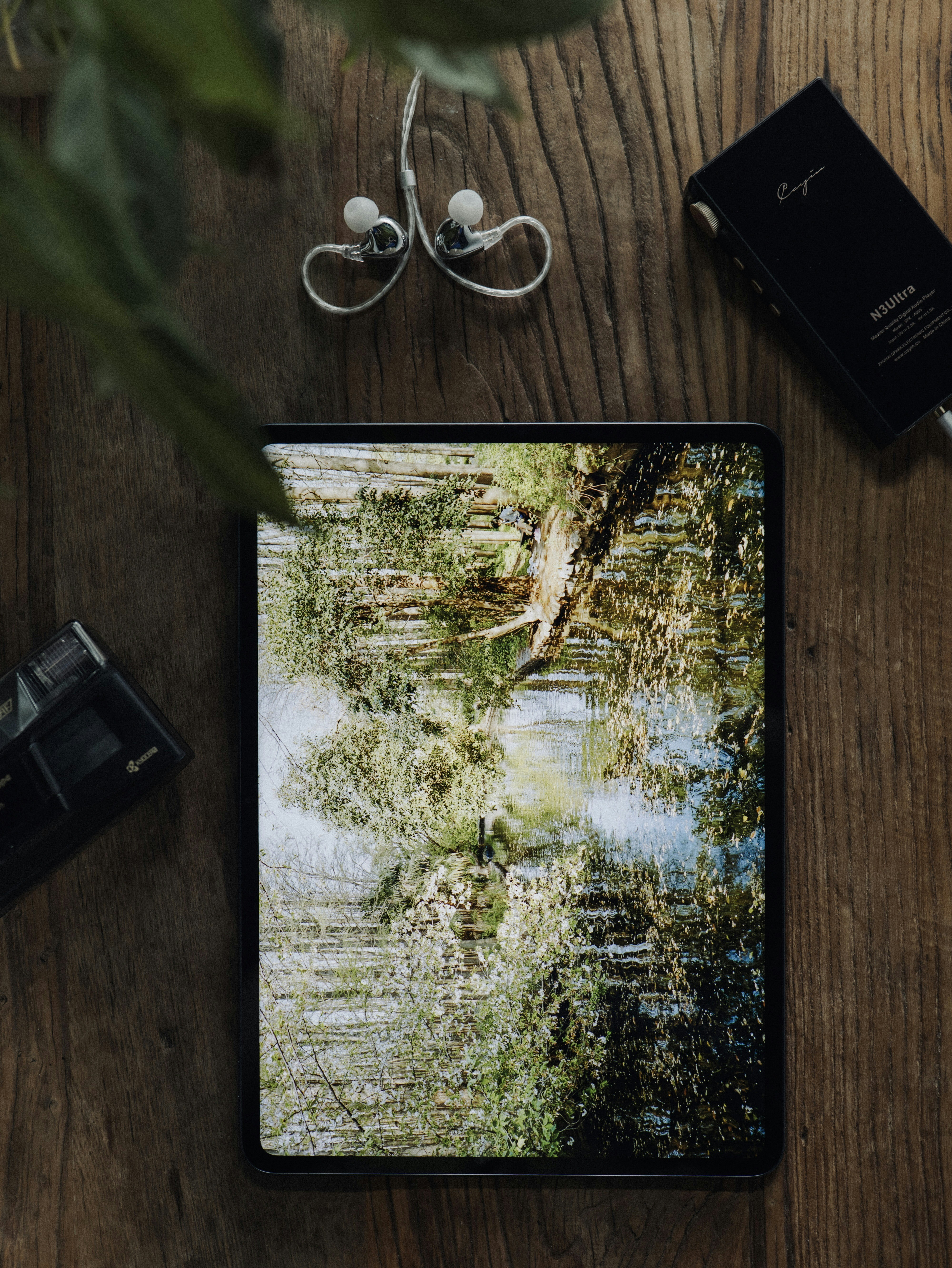 Forest Tablet: Aerial Scene Reflected in a Glossy Screen