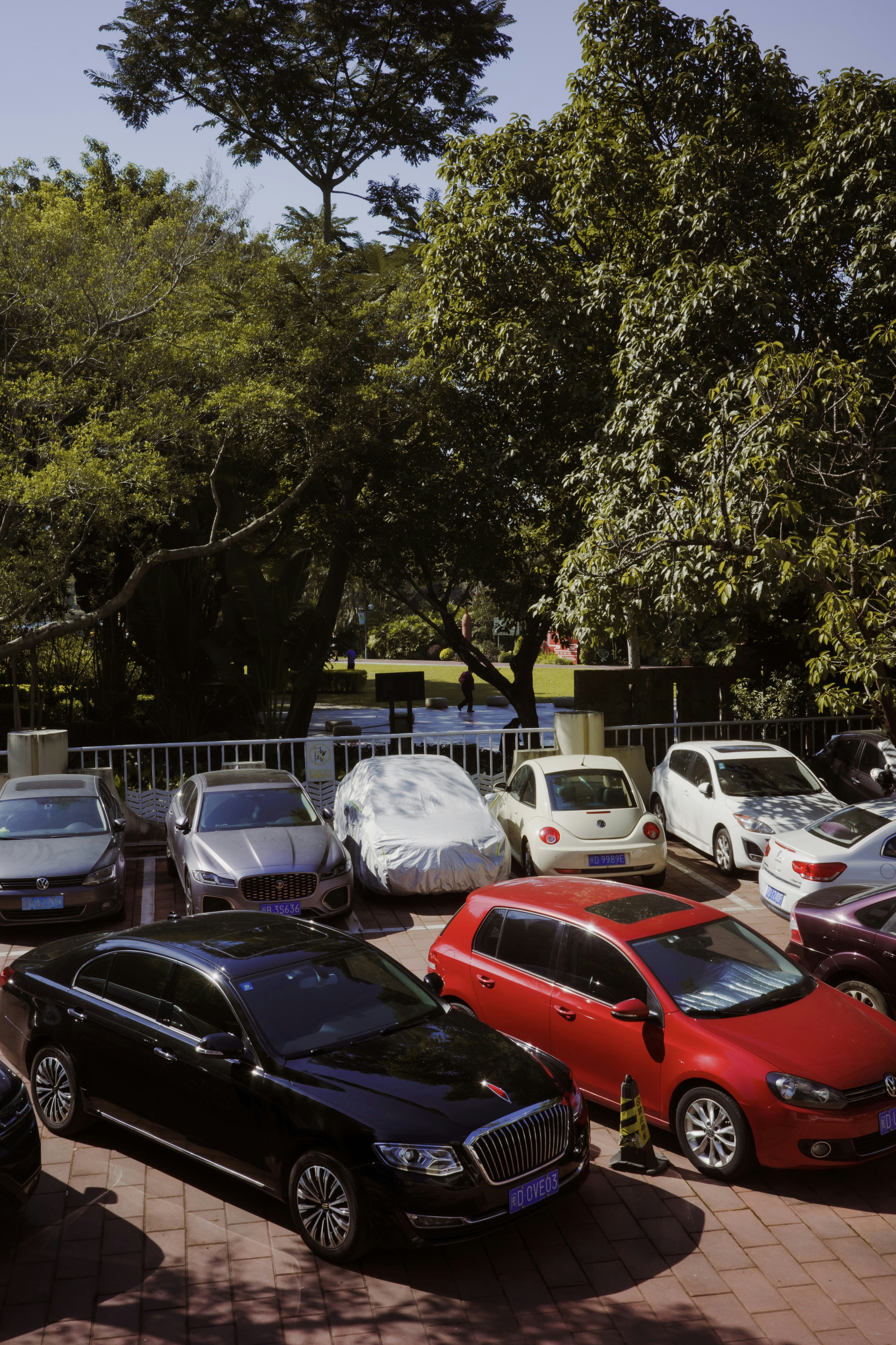Parked Street Scene: A Row of Cars Embraced by Dappled Shade