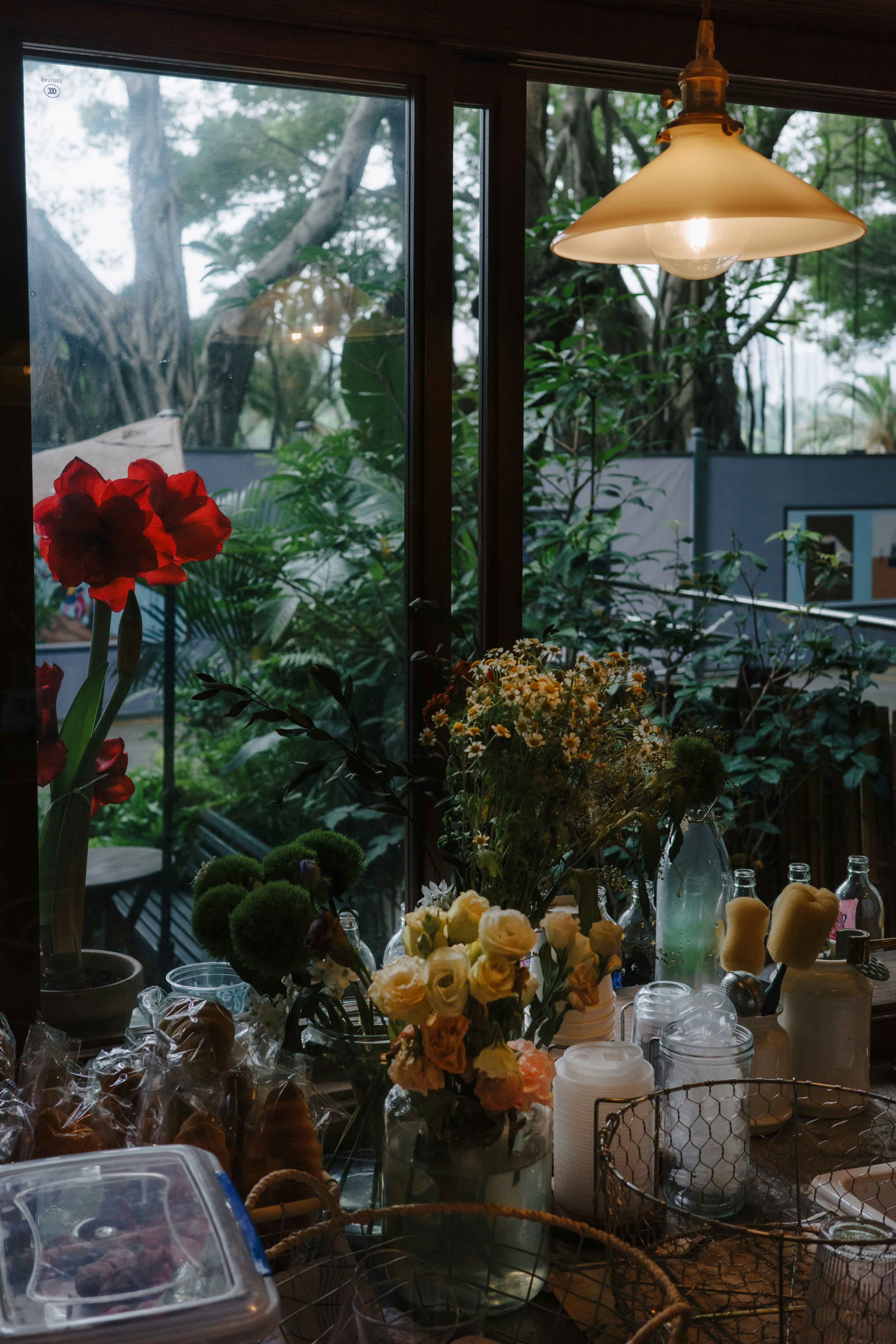 Still-life Bloom at Dusk: A Windowed Corner of Color