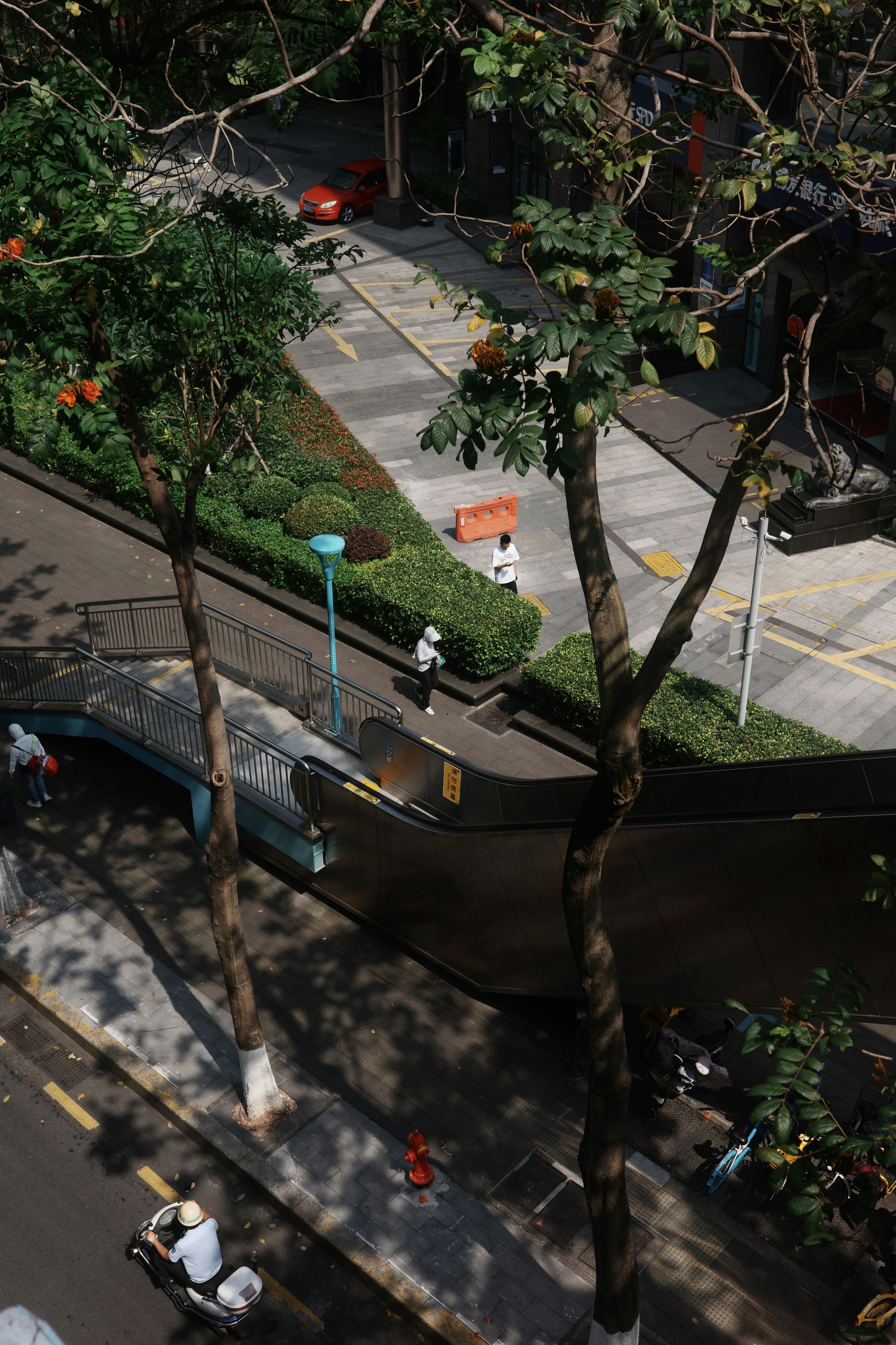 Shaded Terrace Overlook: Urban Pathways and Tree Shadows
