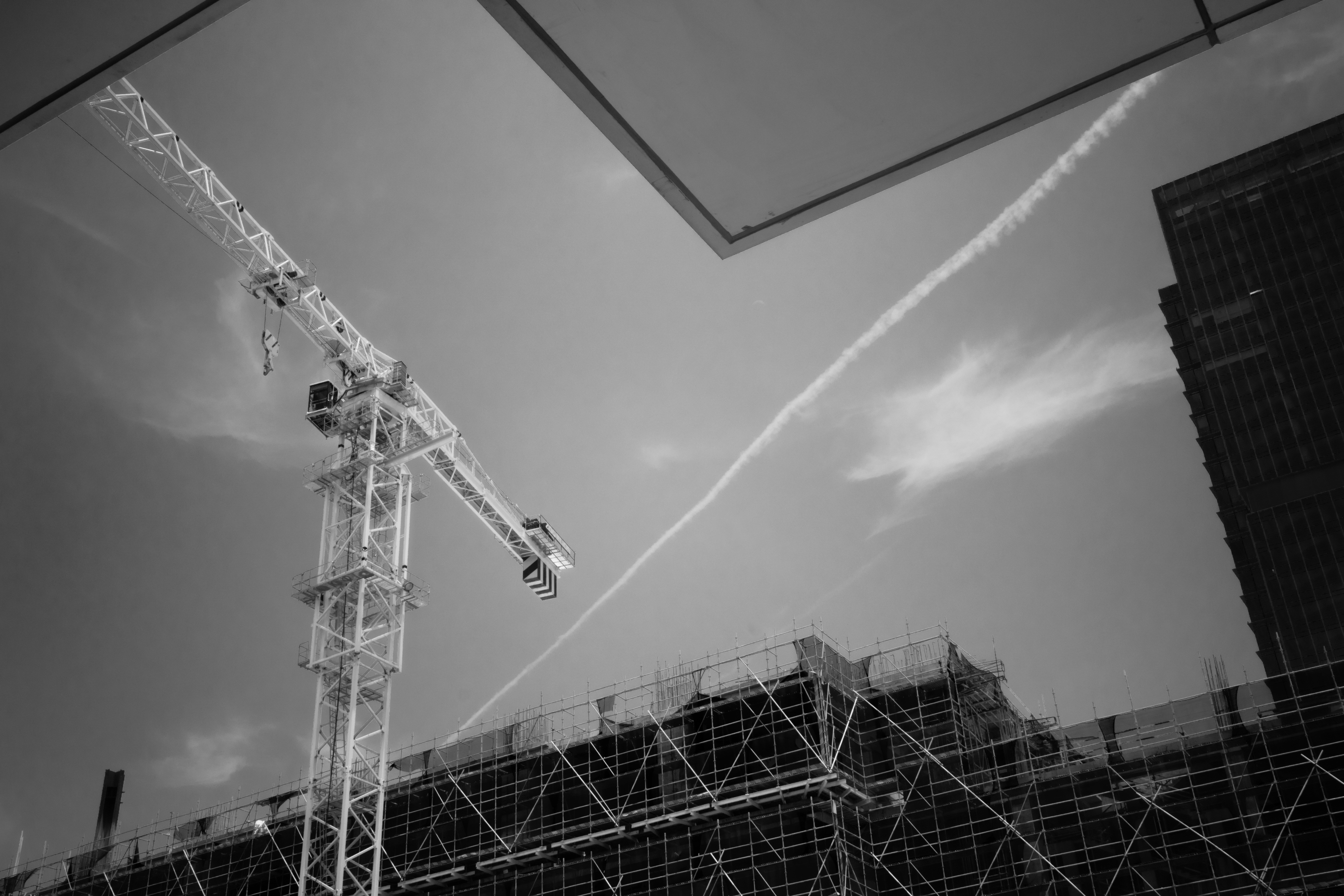 Cranes Against a Tangle of Steel and Sky
