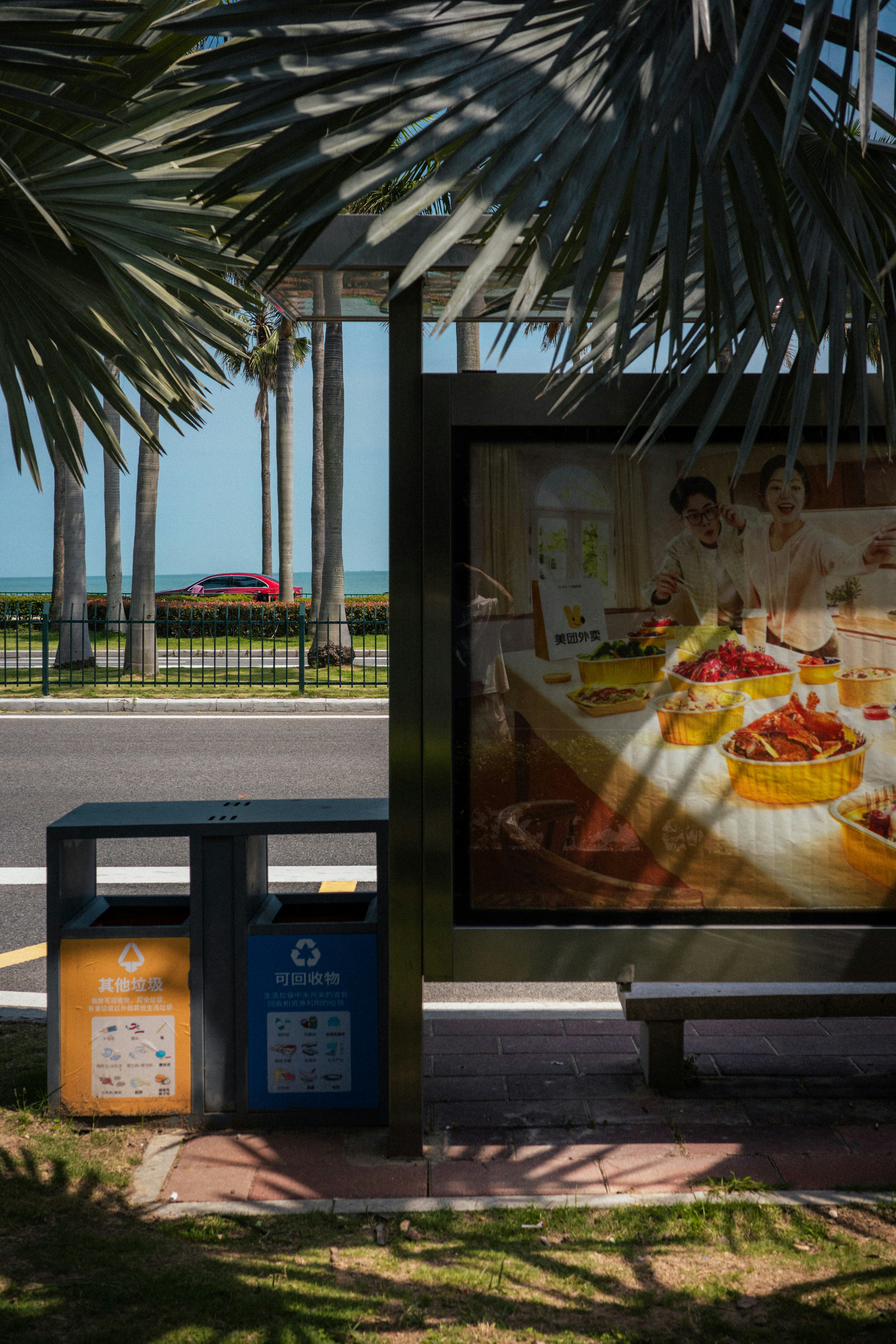Sunlit Palms and Street-side Glare: A Coastal Bus Stop Moment