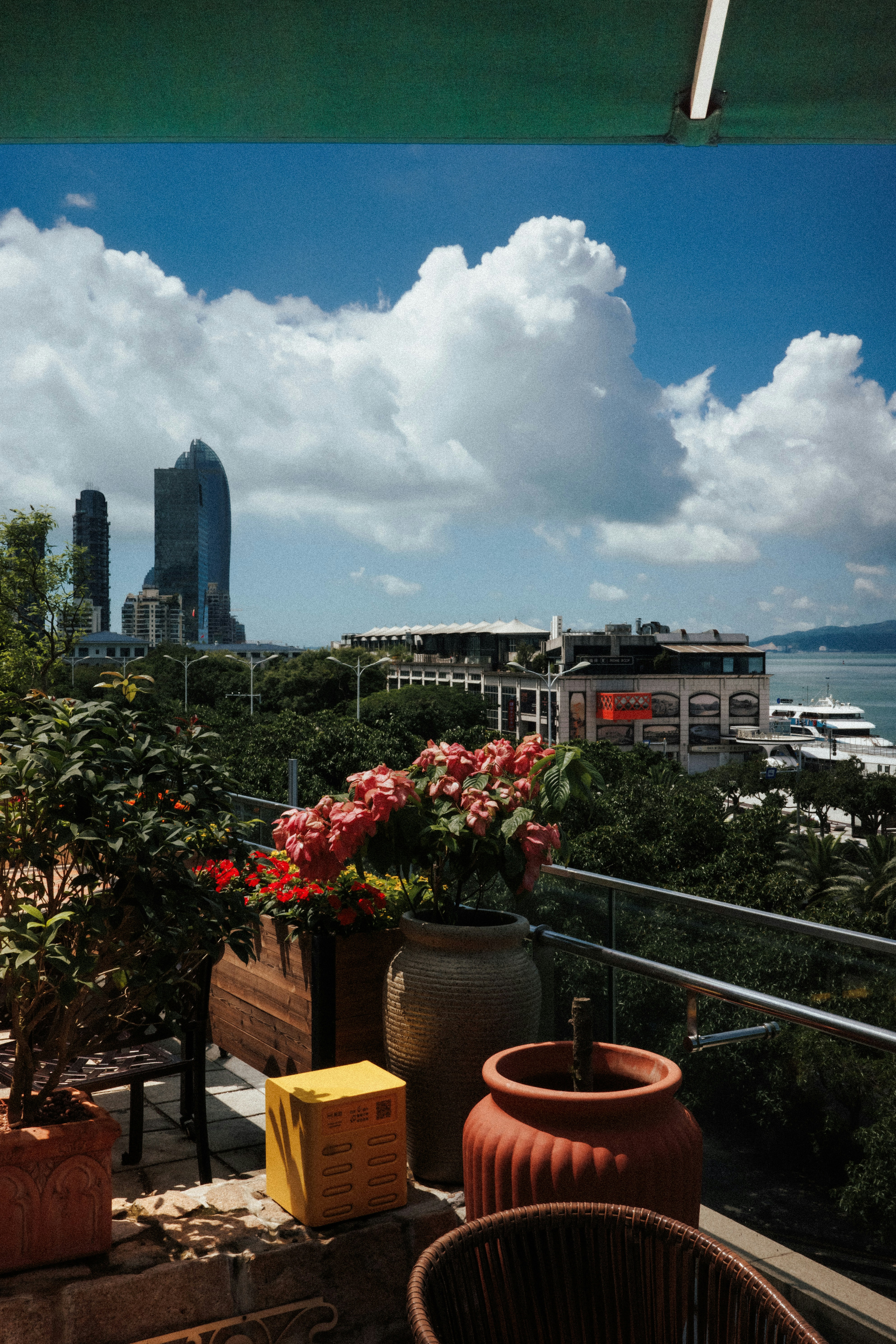 Terrace with Blossoms Overlooking a Coastal Cityscape