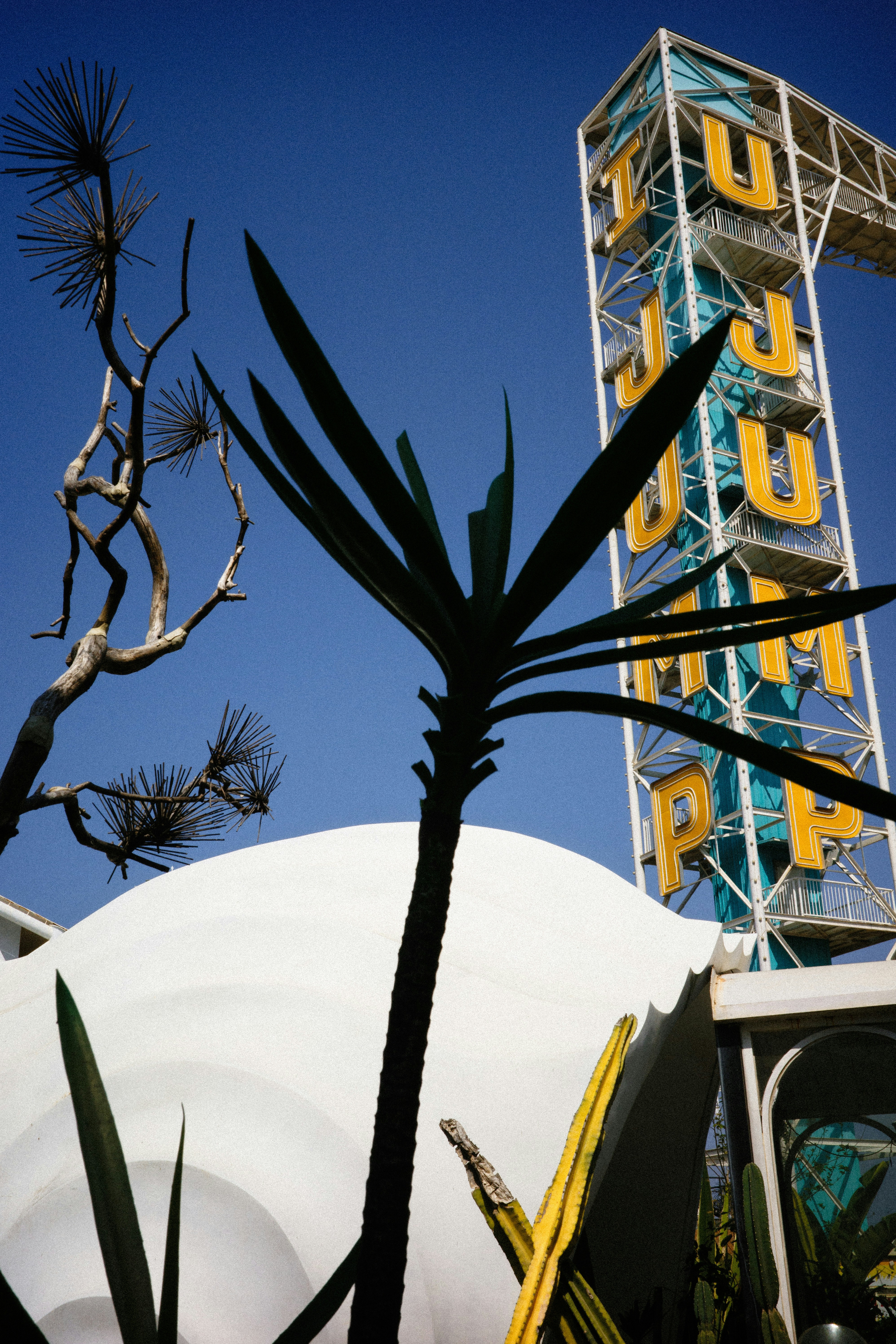 Deserted Plant silhouettes frame a bold neon sign tower against a cobalt sky