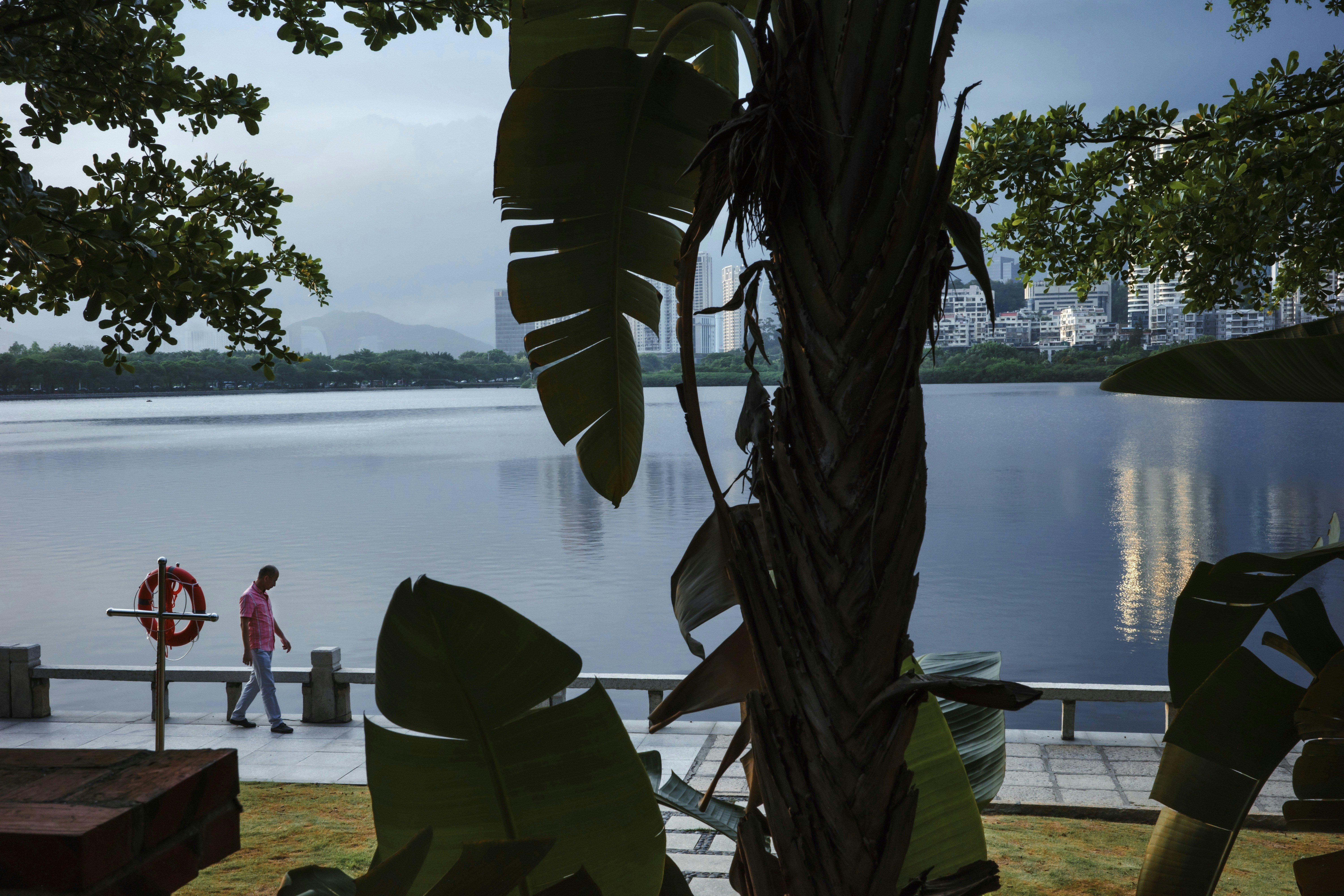 Hidden Skyline by the Waterfront Fronds