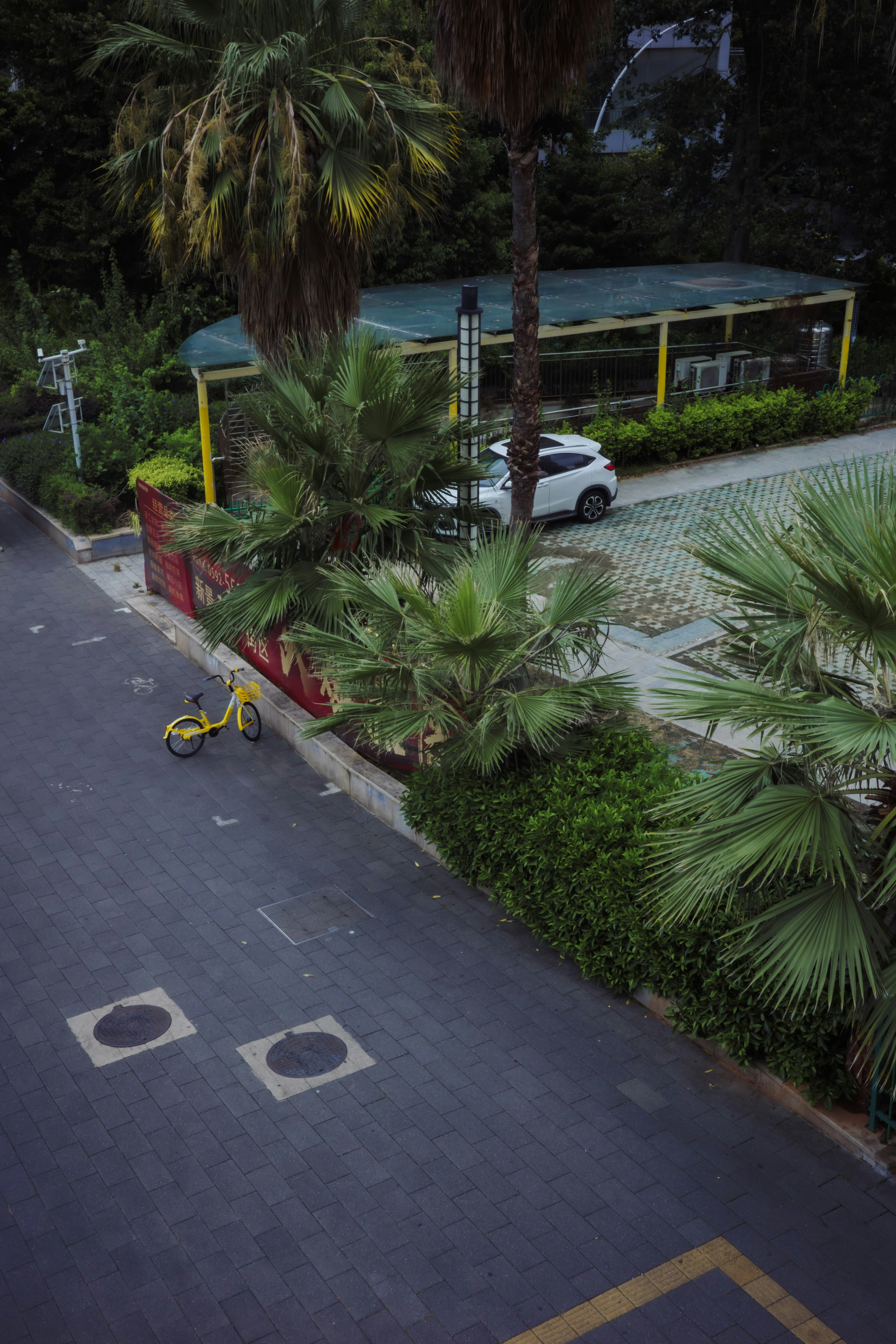 Urban Oasis: A Quiet Corner of Palm Trees and Quiet Parking