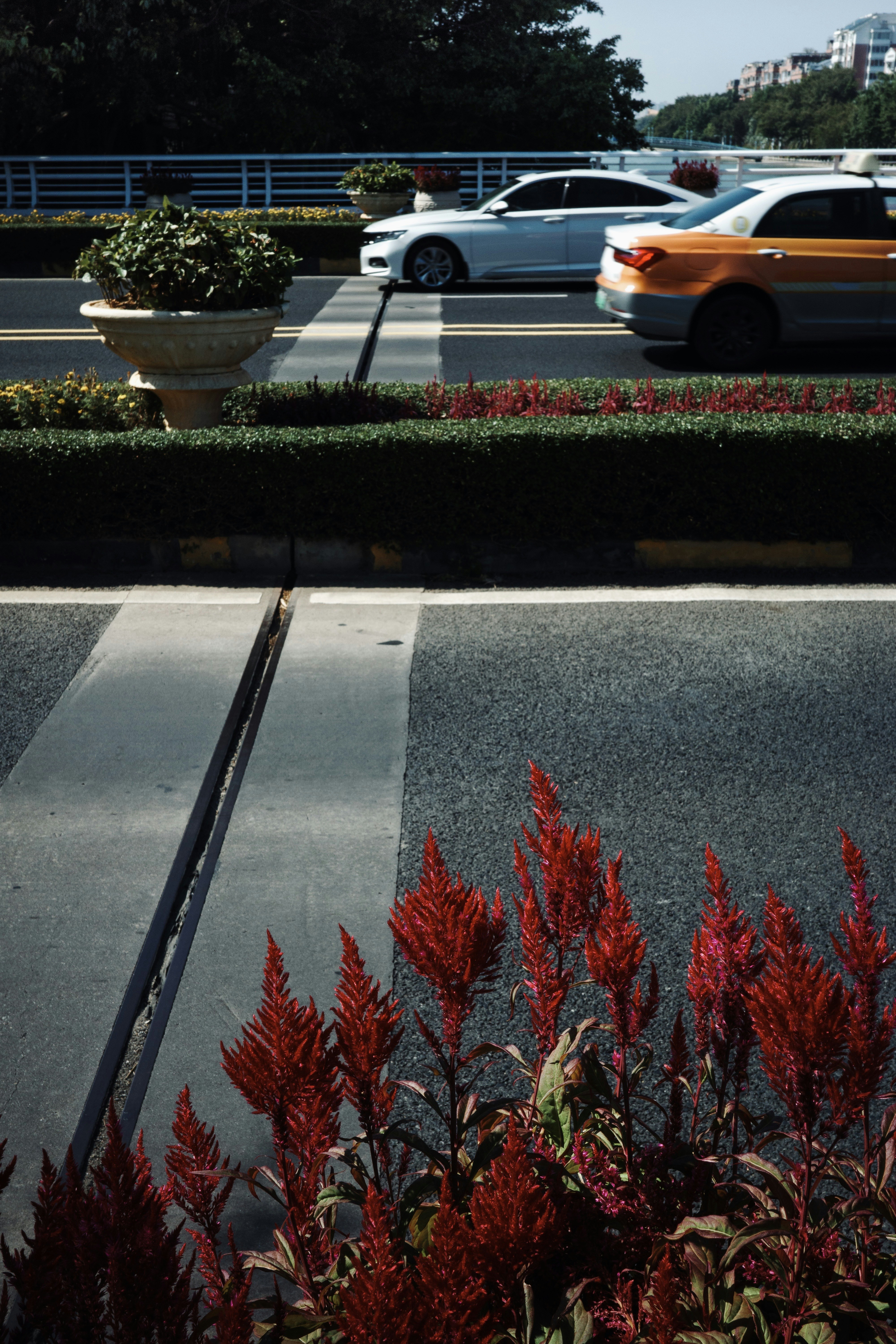 Traffic Blur over a Cityside Park