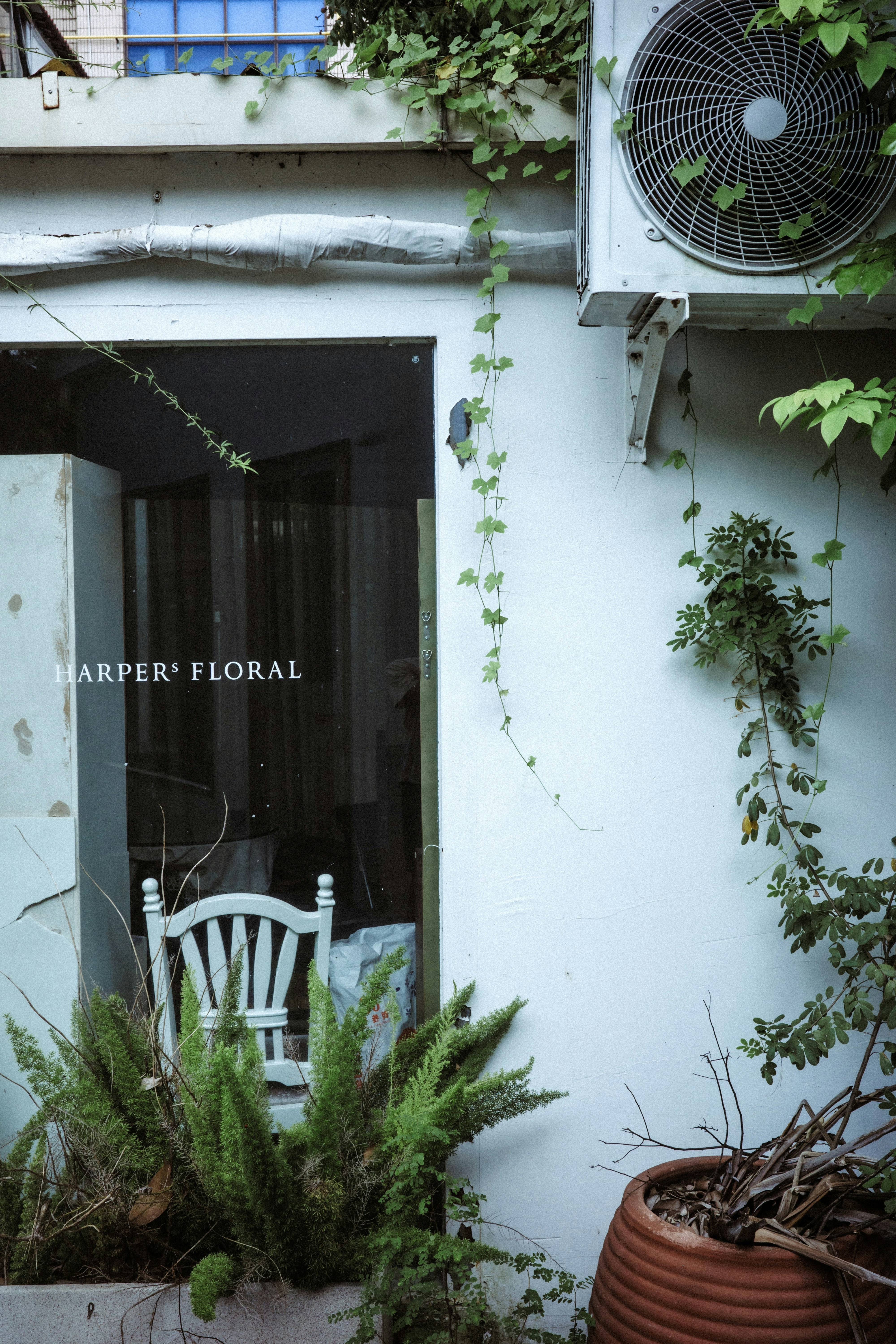 Overgrown doorway at Harper's Floral